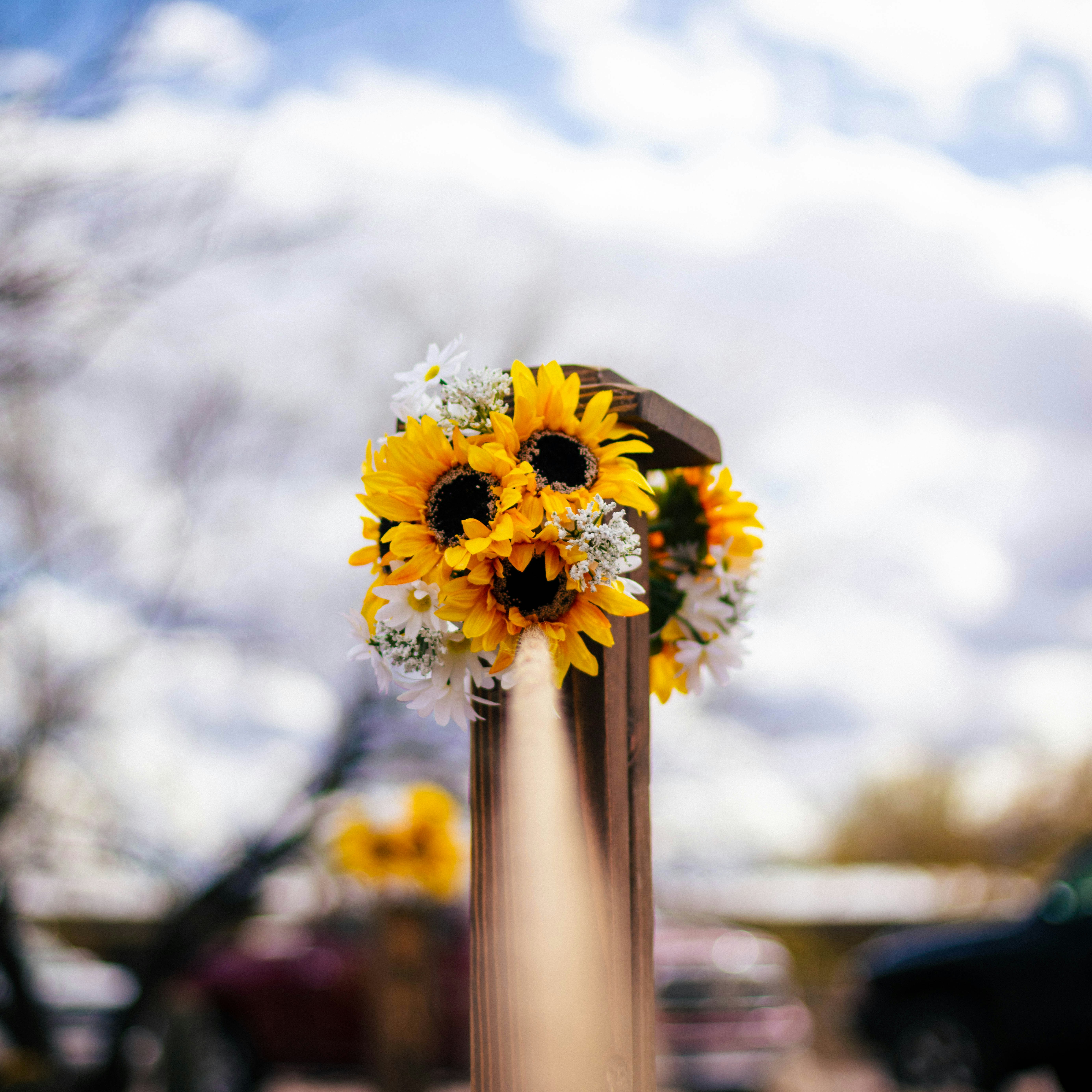 yellow and white flower on white steel post