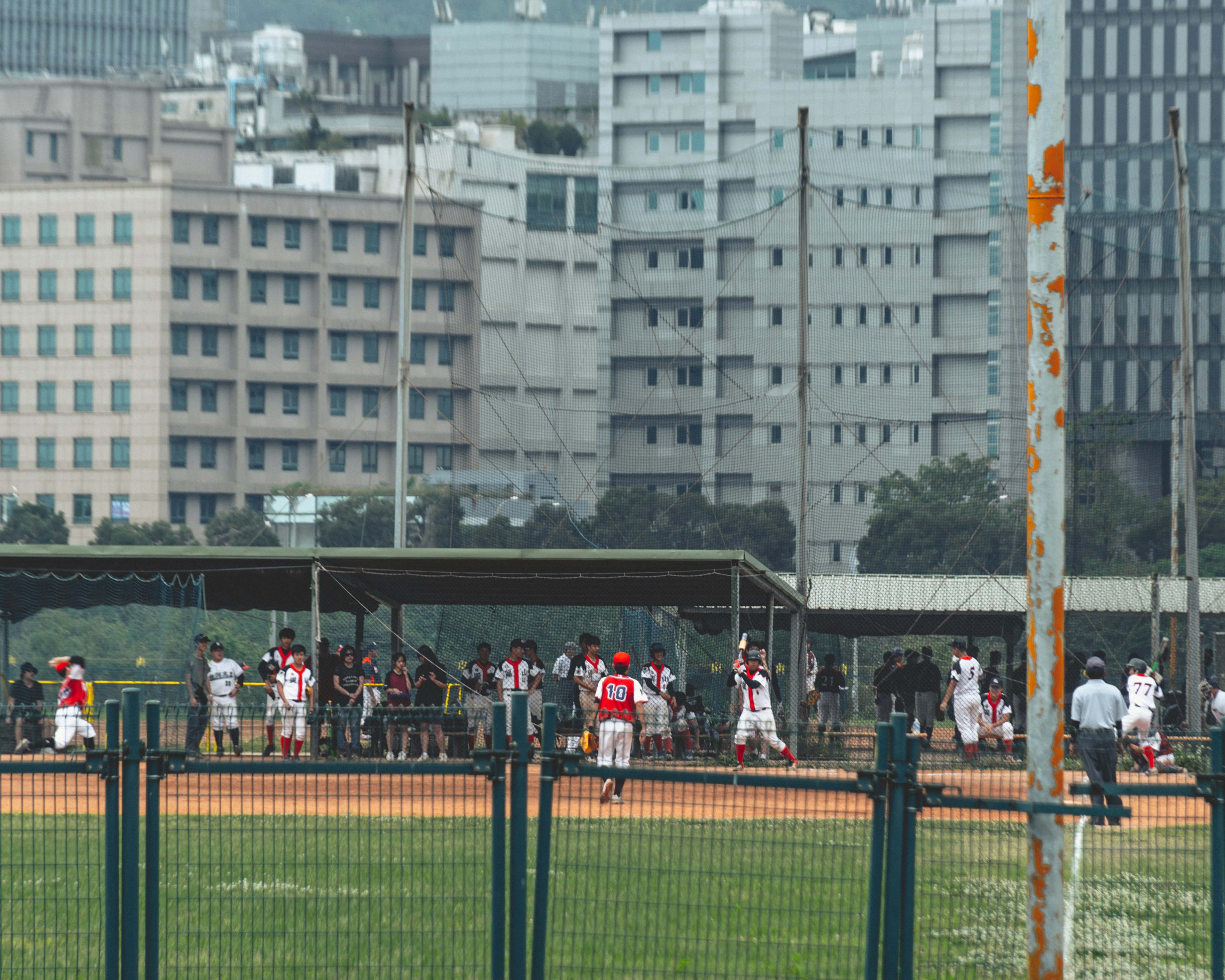Baseball players in red uniforms engage in a game on a field surrounded by urban buildings, capturing the blend of sports and city life.