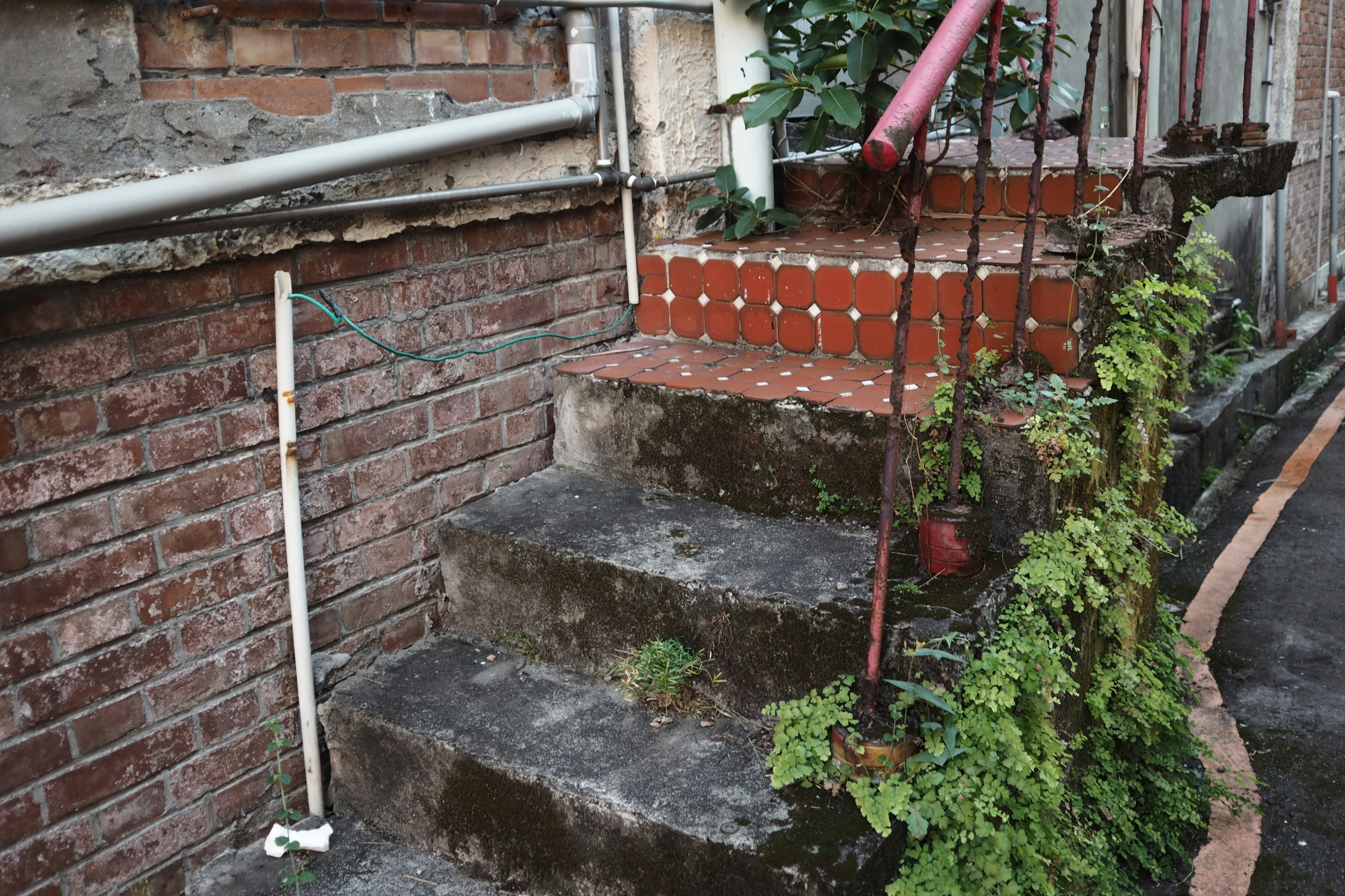 Ivy-Grown Stairwell in a Narrow Brick Alley