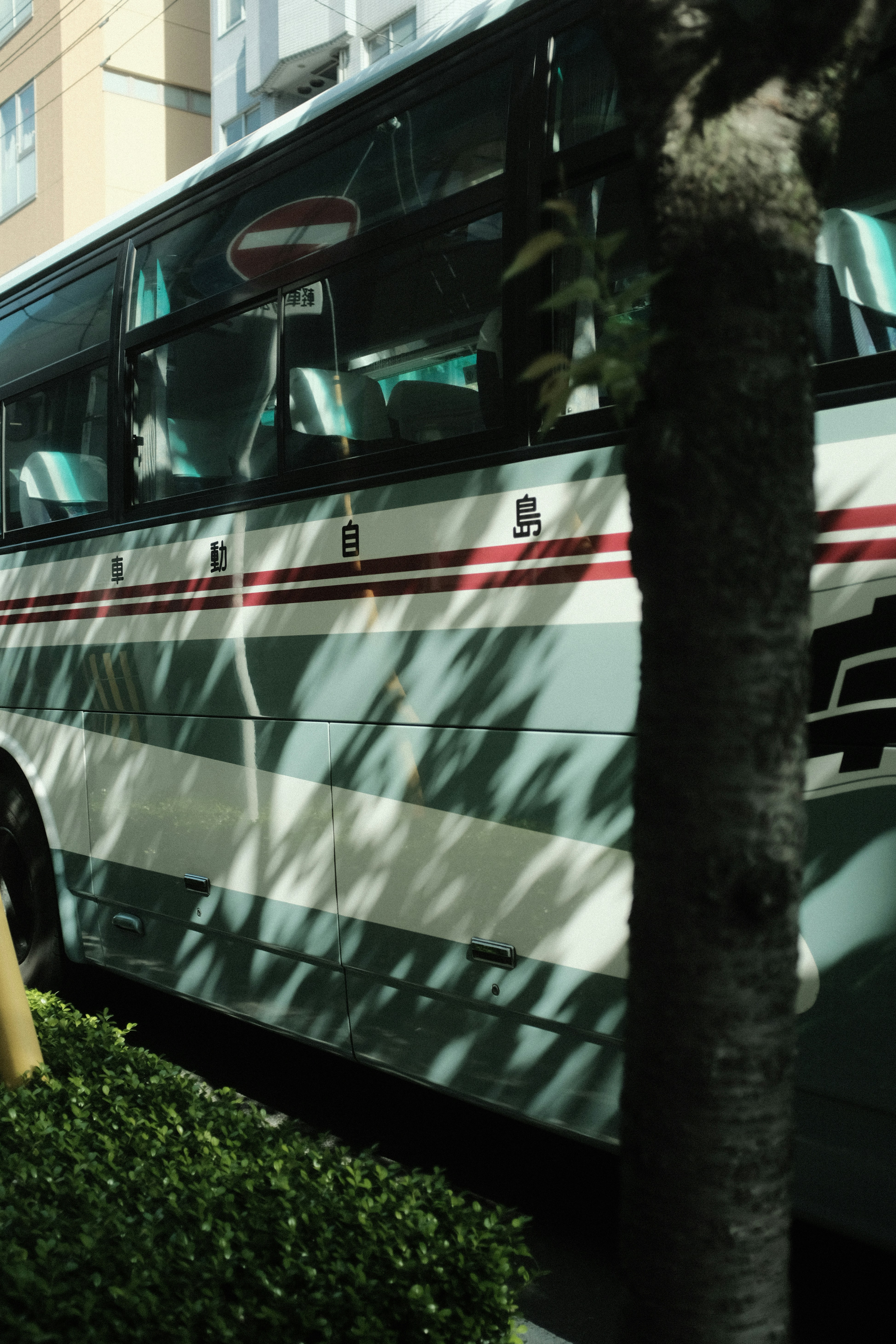 Bus silhouette through leaves: shadowed lines and Japanese characters