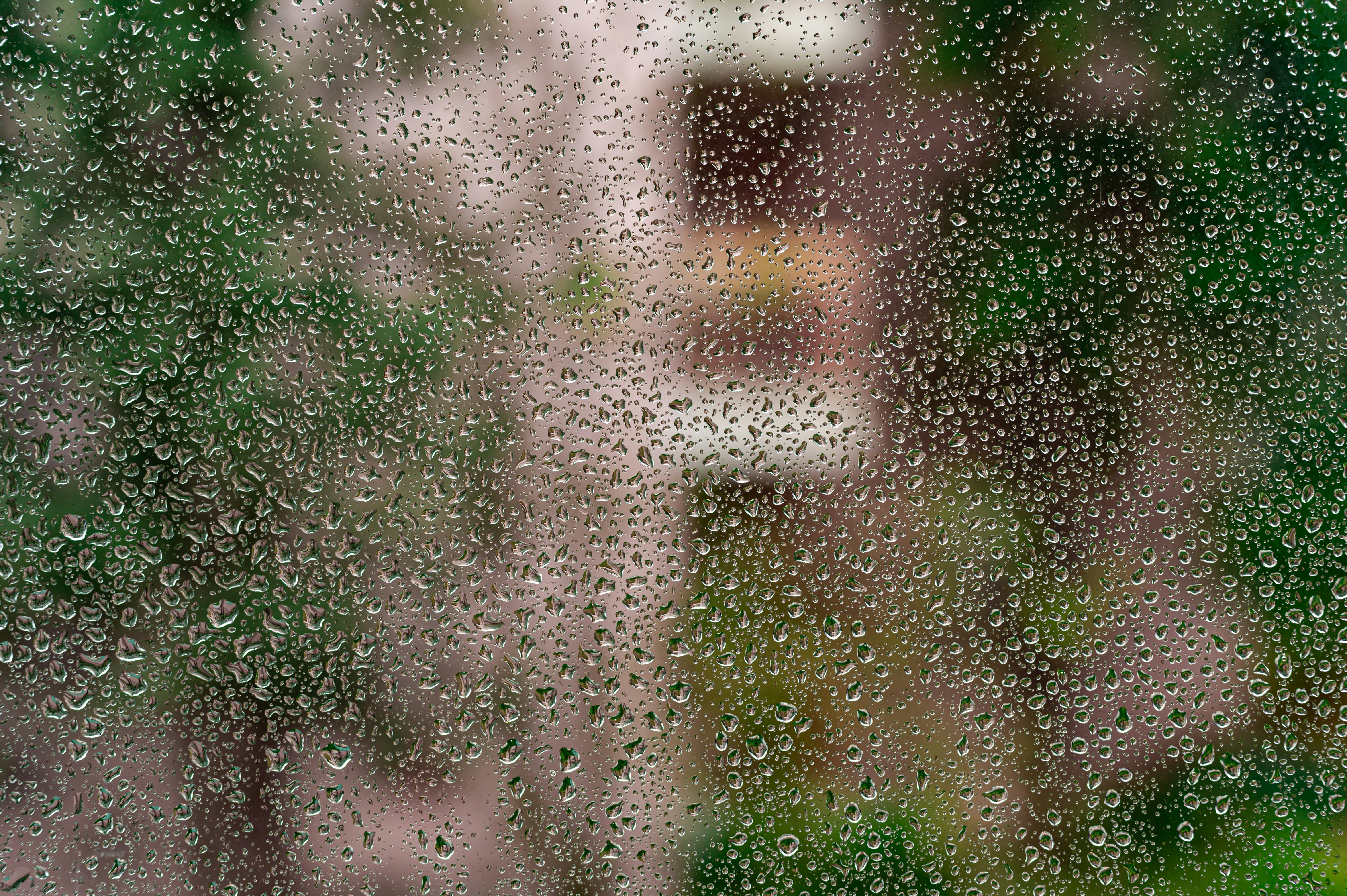 Raindrop Symphony on Glass Canvas