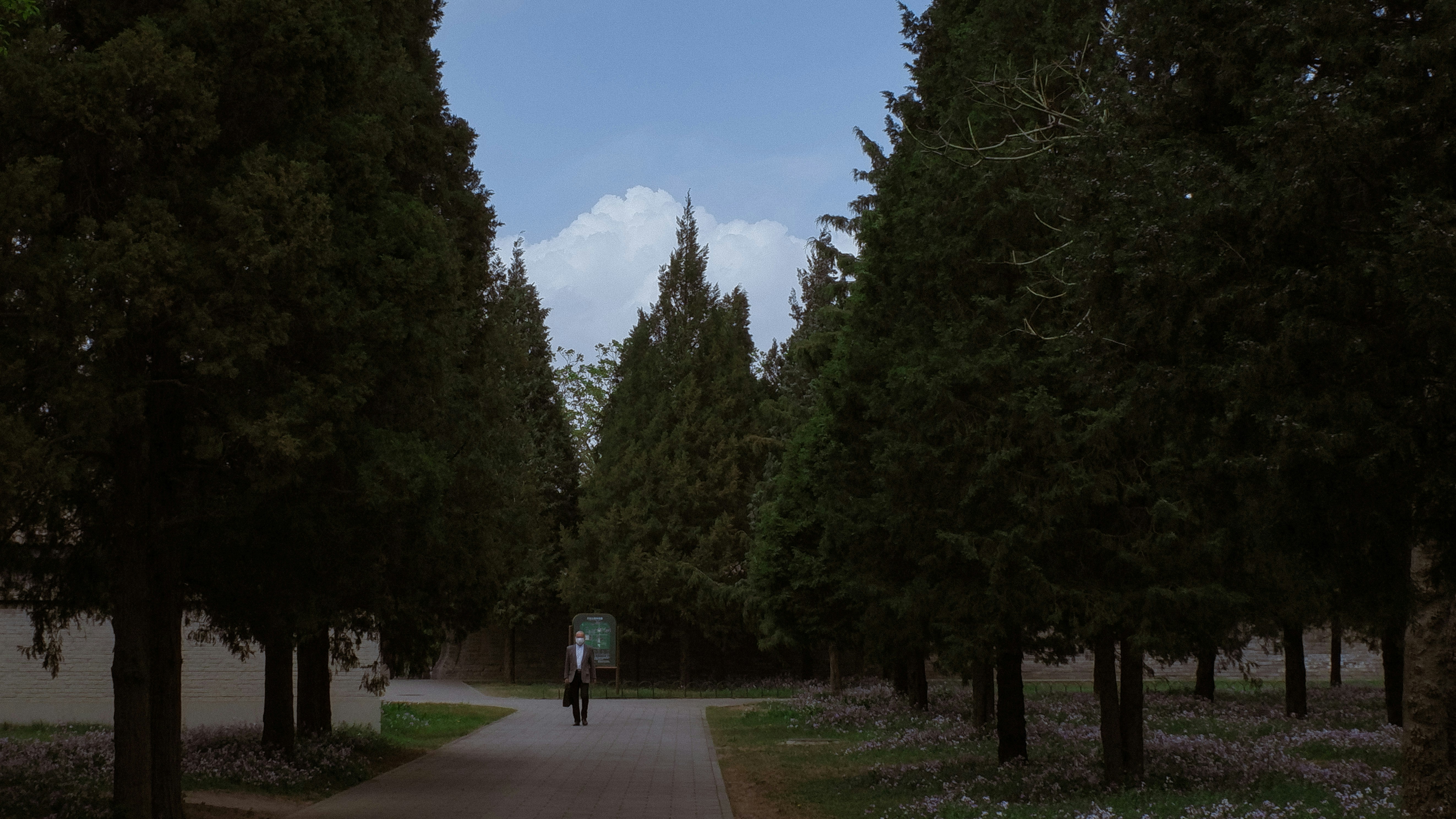 Person walking along a tree-lined path adorned with blooming flowers under a clear blue sky.