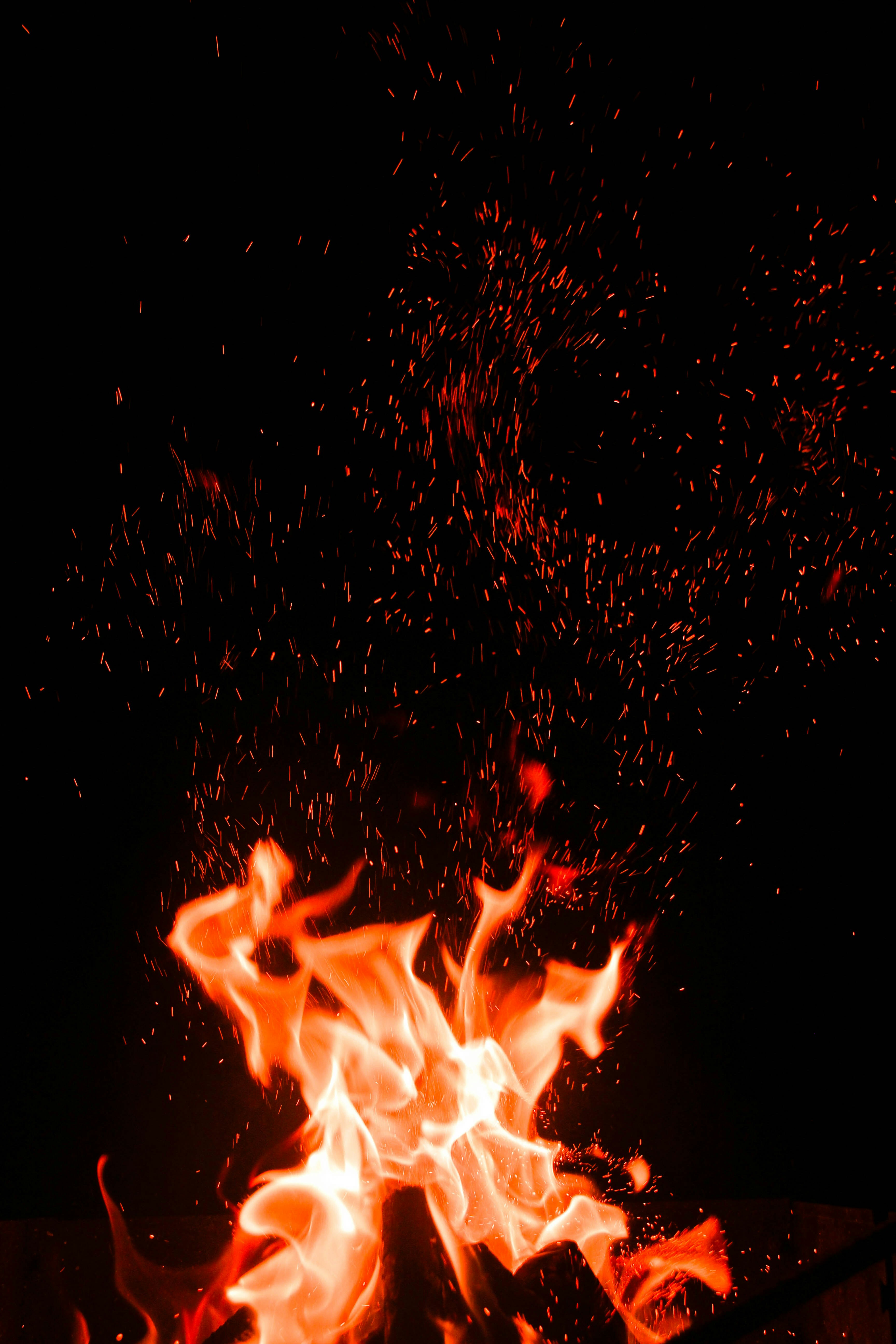 Family Bonfire

