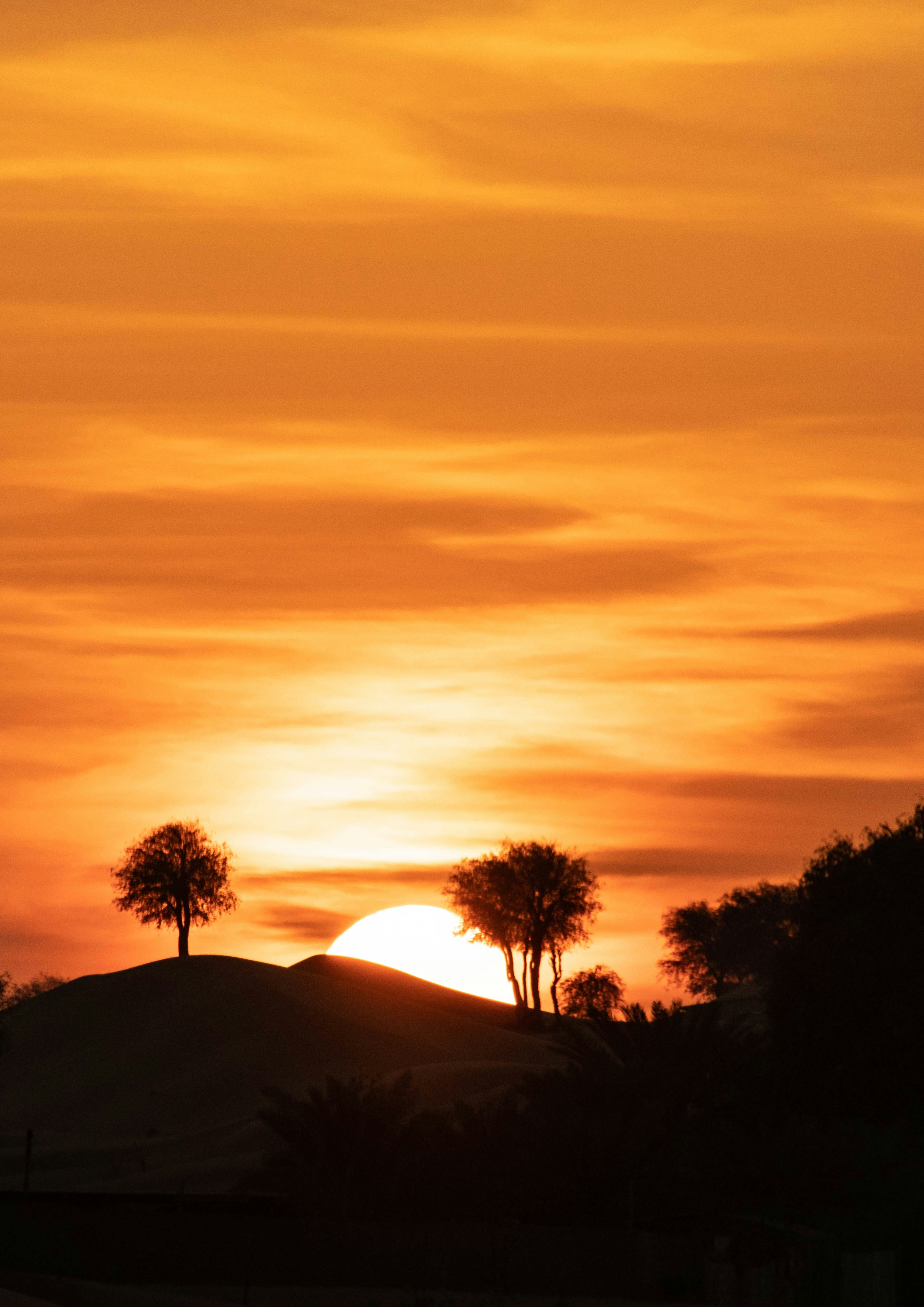 Sunset Silhouette: Gentle Hills and Stretched Trees at Dusk