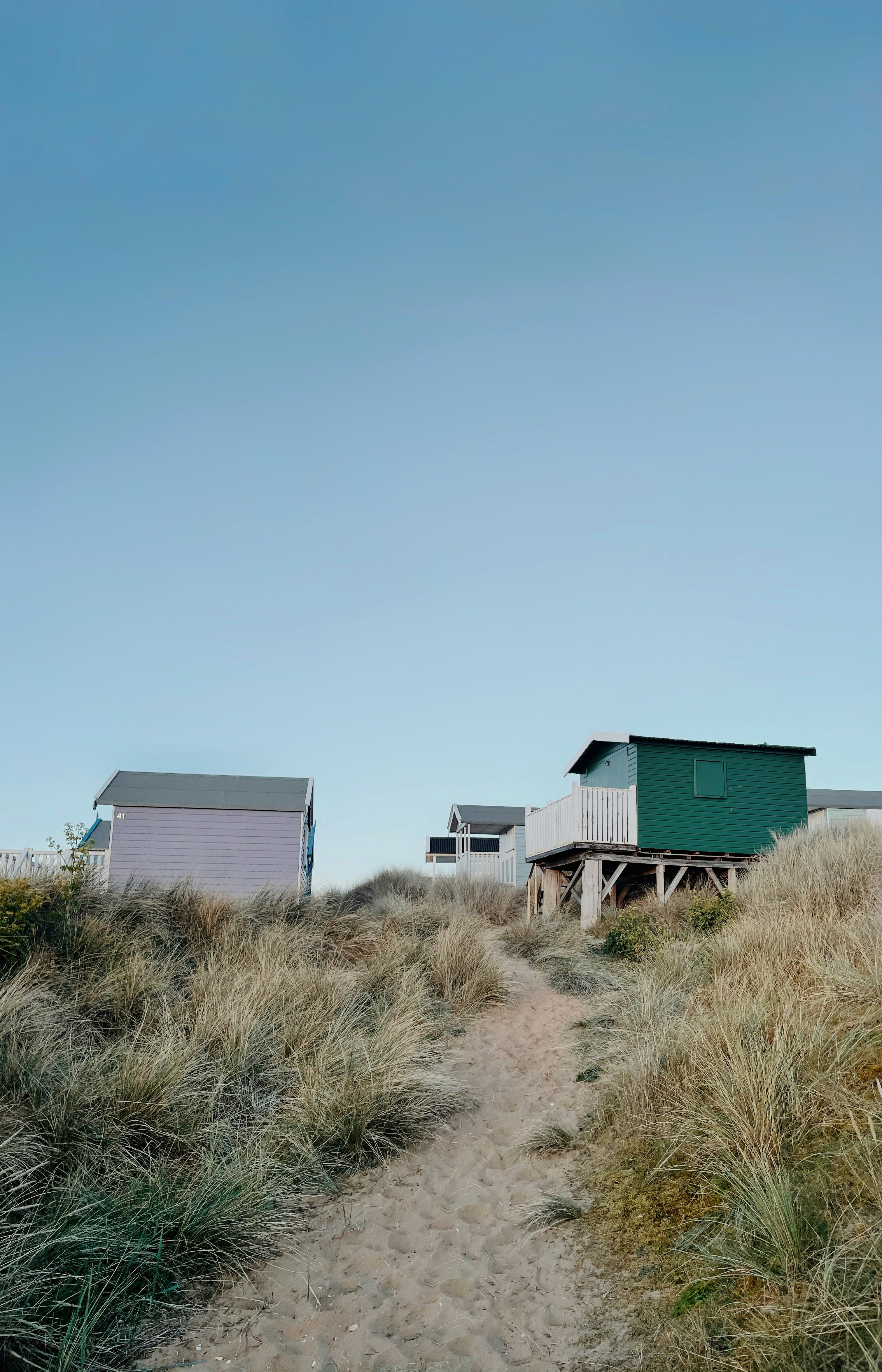 Colorful beach huts nestled among tall grass, leading towards a serene coastal path. The clear sky enhances the peaceful atmosphere.