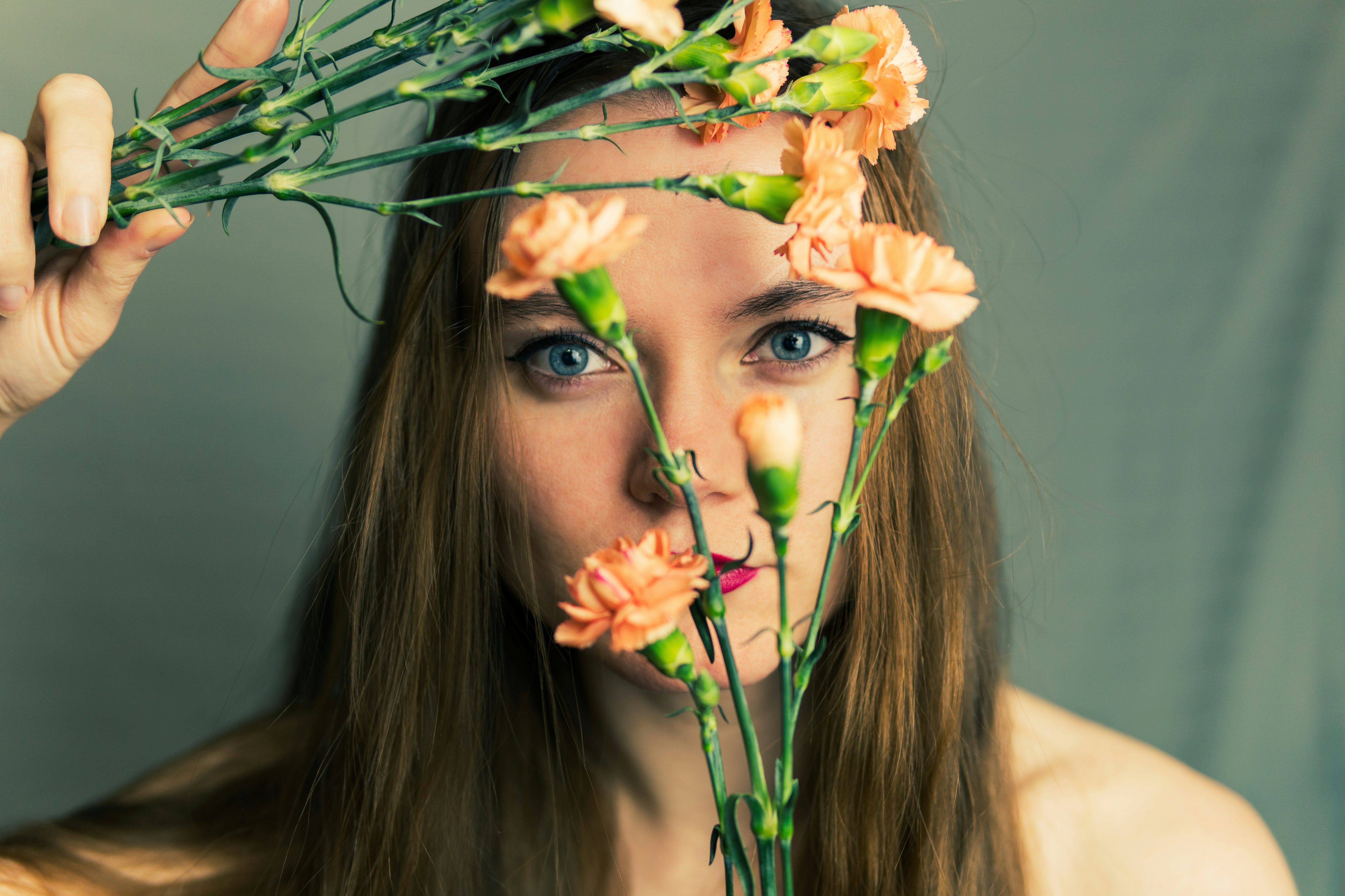 Flower Portrait Pictures | Download Free Images on Unsplash