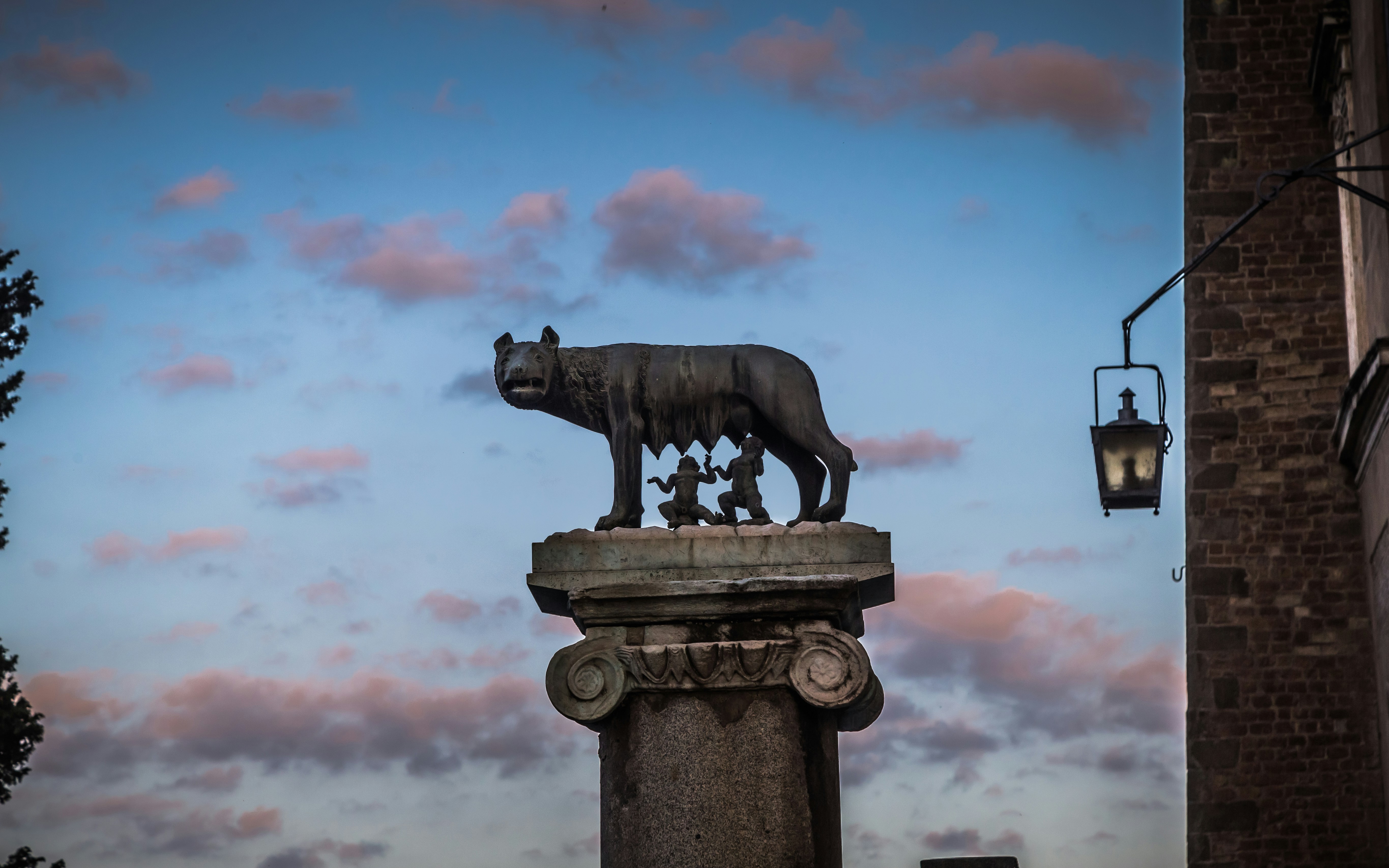 Lone Wolf on the Plinth: A Monumental Silhouette at Dusk