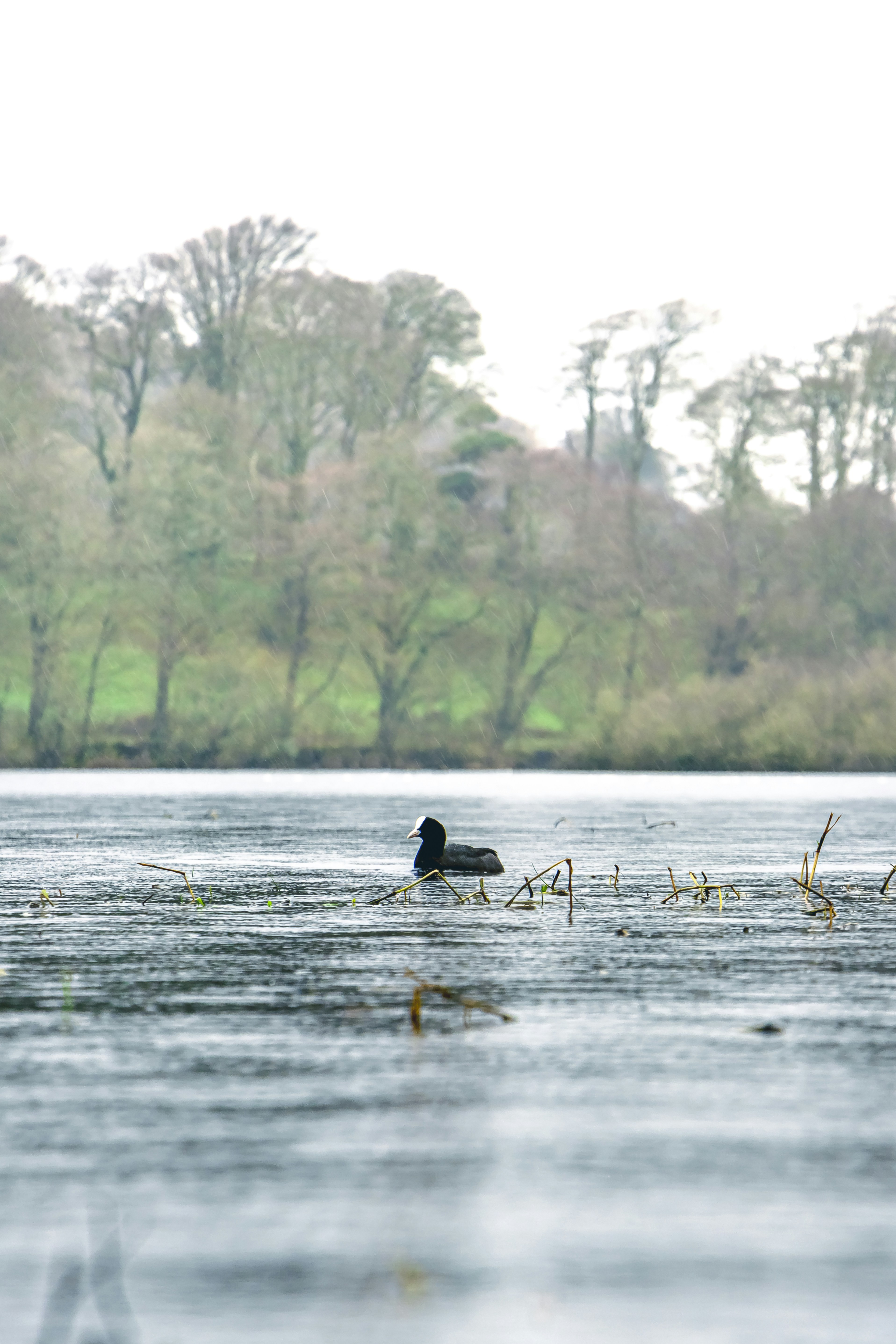 If you like this, please follow me on Instagram - www.instagram.com/quirke9 - and maybe buy a print. DM me for prices