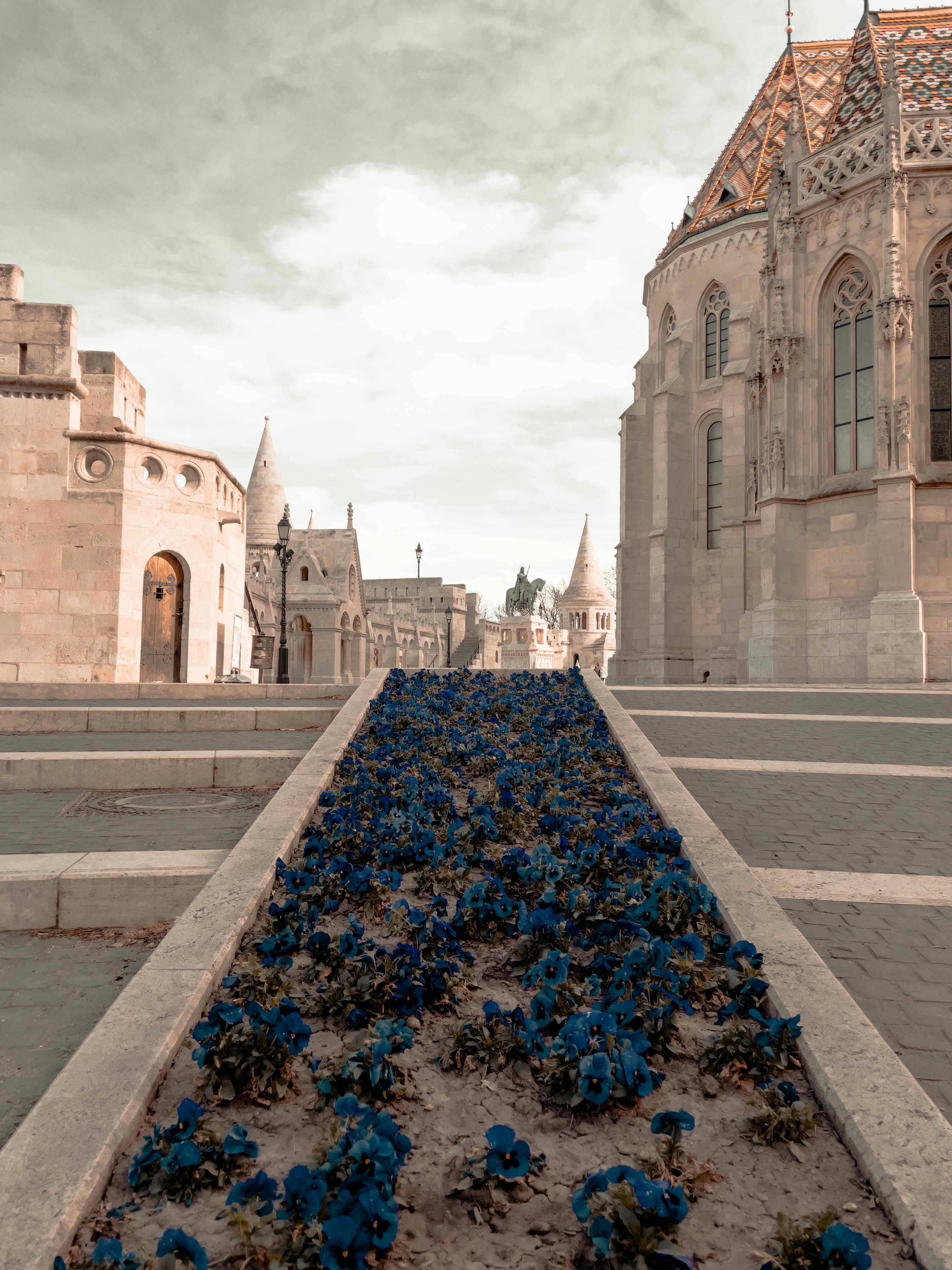 Blueflower Promenade: A Central Garden Path Between Gothic Facades