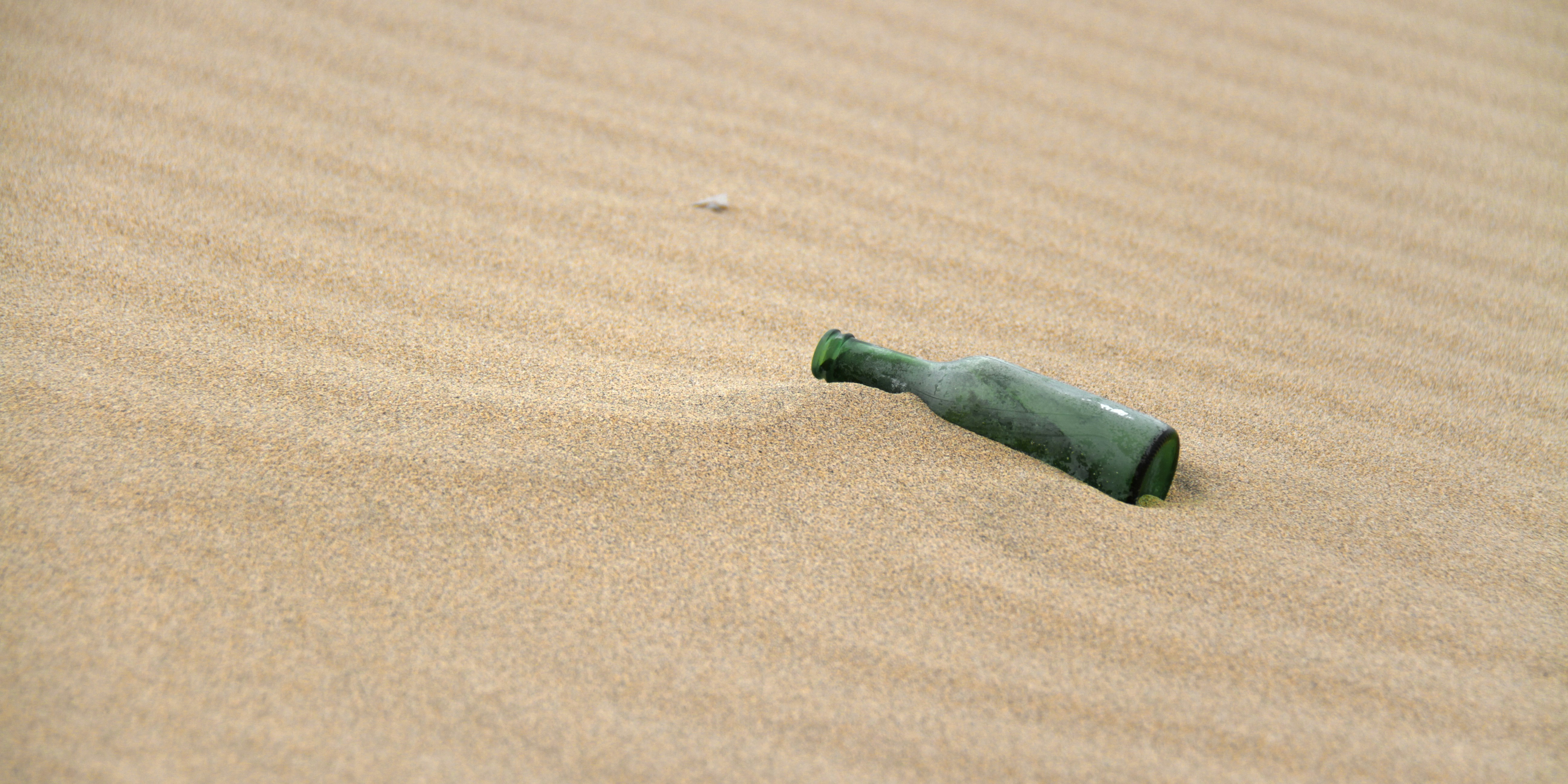 Green Bottle Resting in the Rippled Desert
