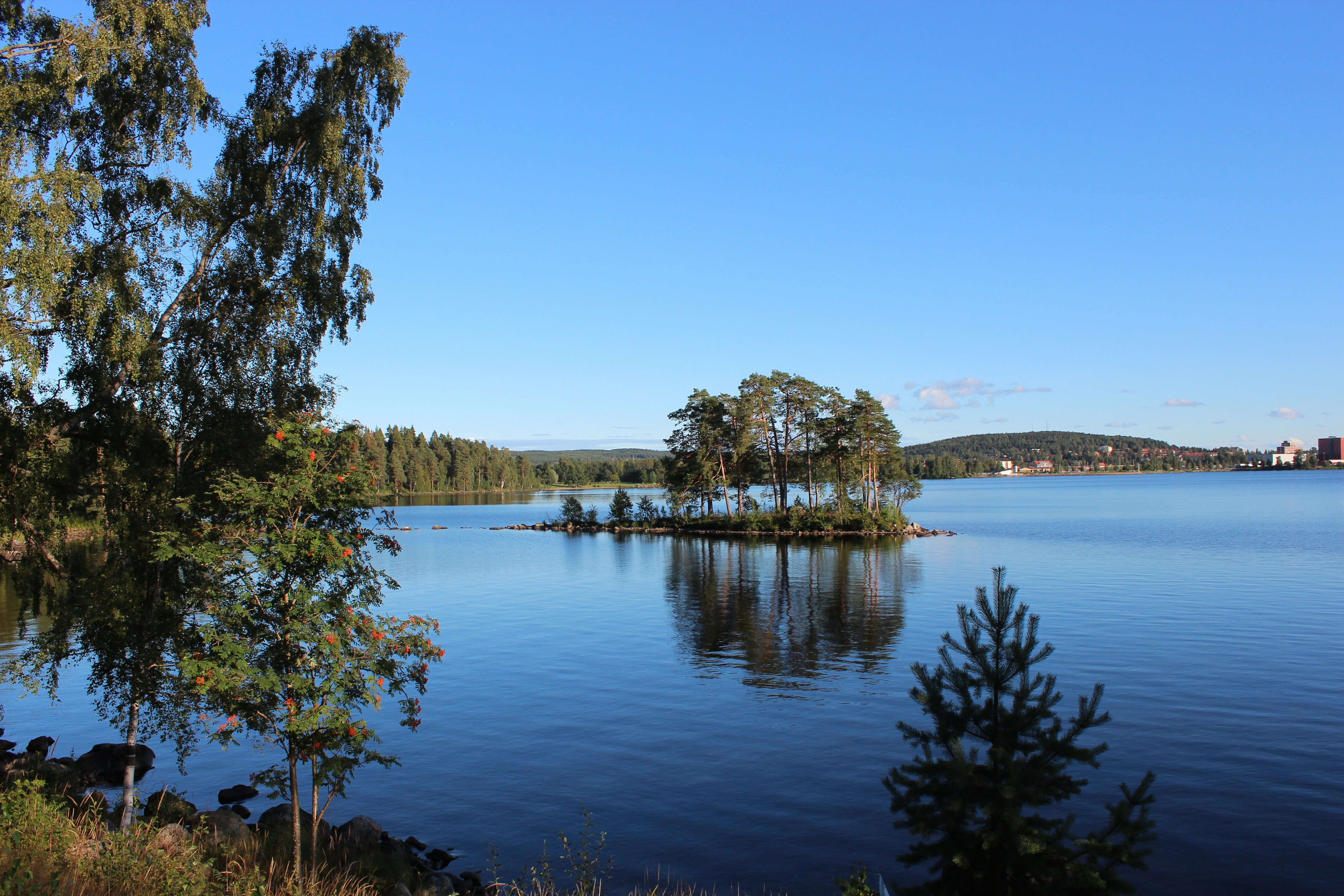 Tree-lined shore with a small island reflected in calm lake waters under a clear blue sky.