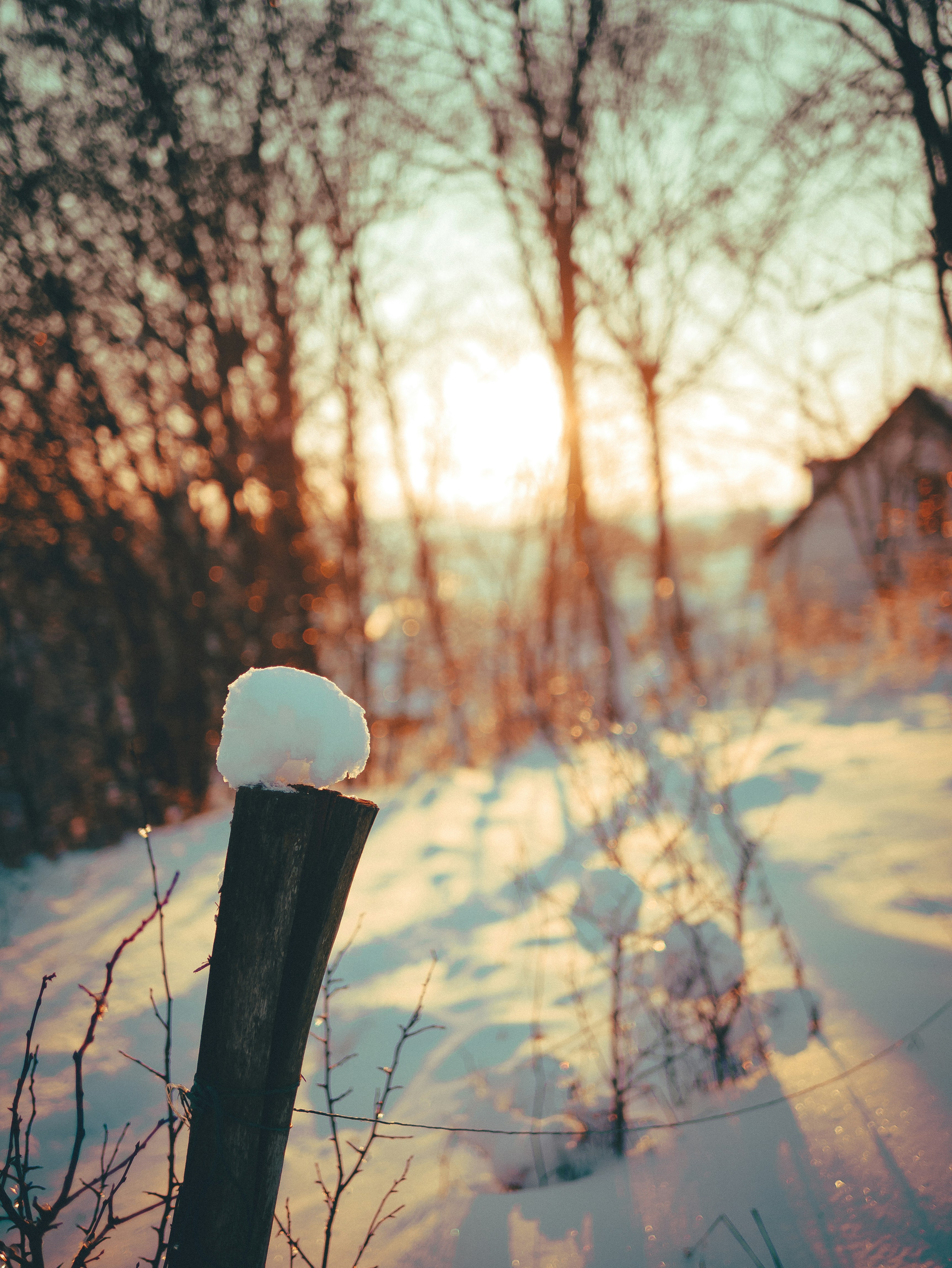 Snowball on a Weathered Post Amid a Winter Sunset