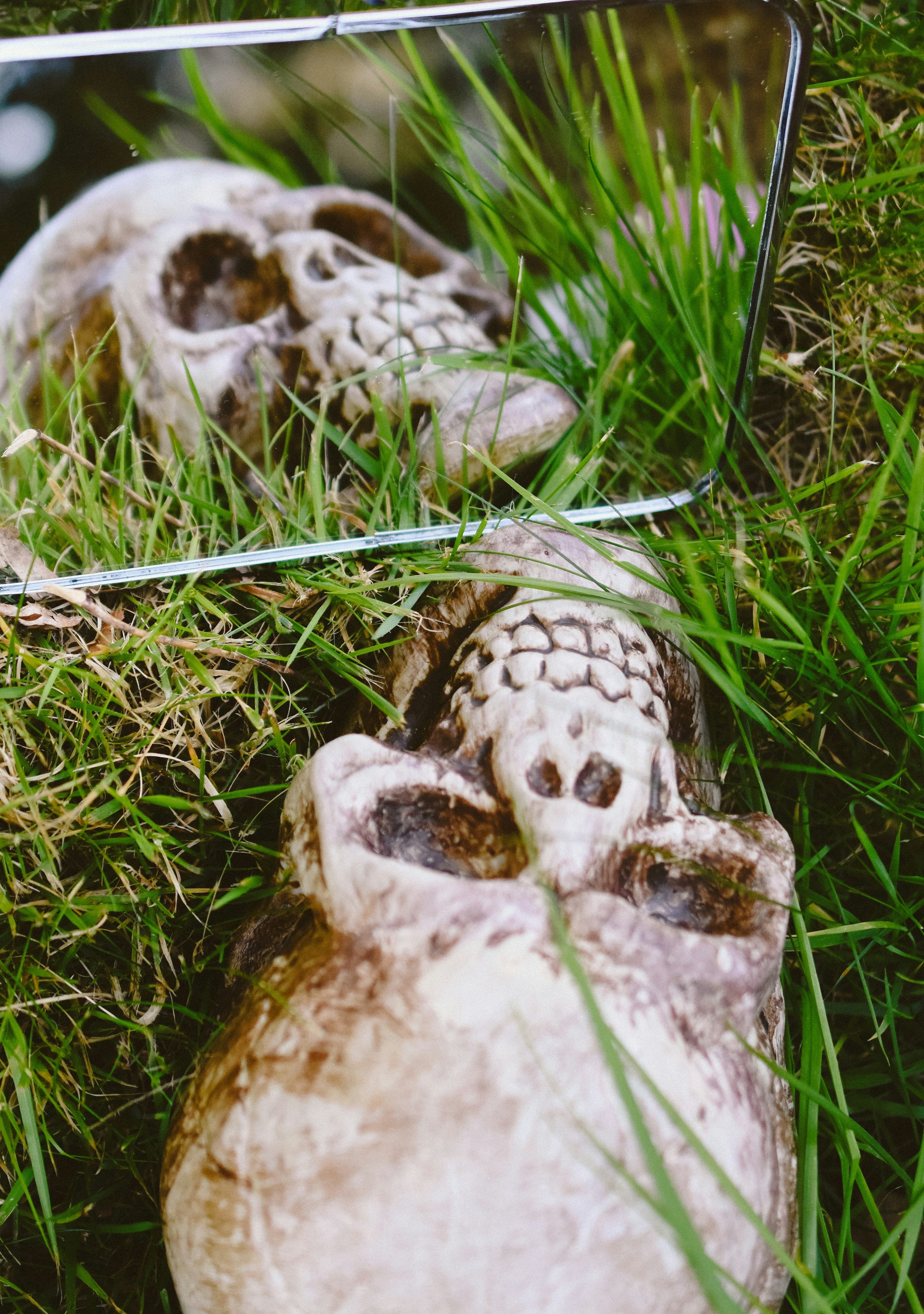 A human skull positioned in grass, with a mirror reflecting its image, creating a thought-provoking composition.