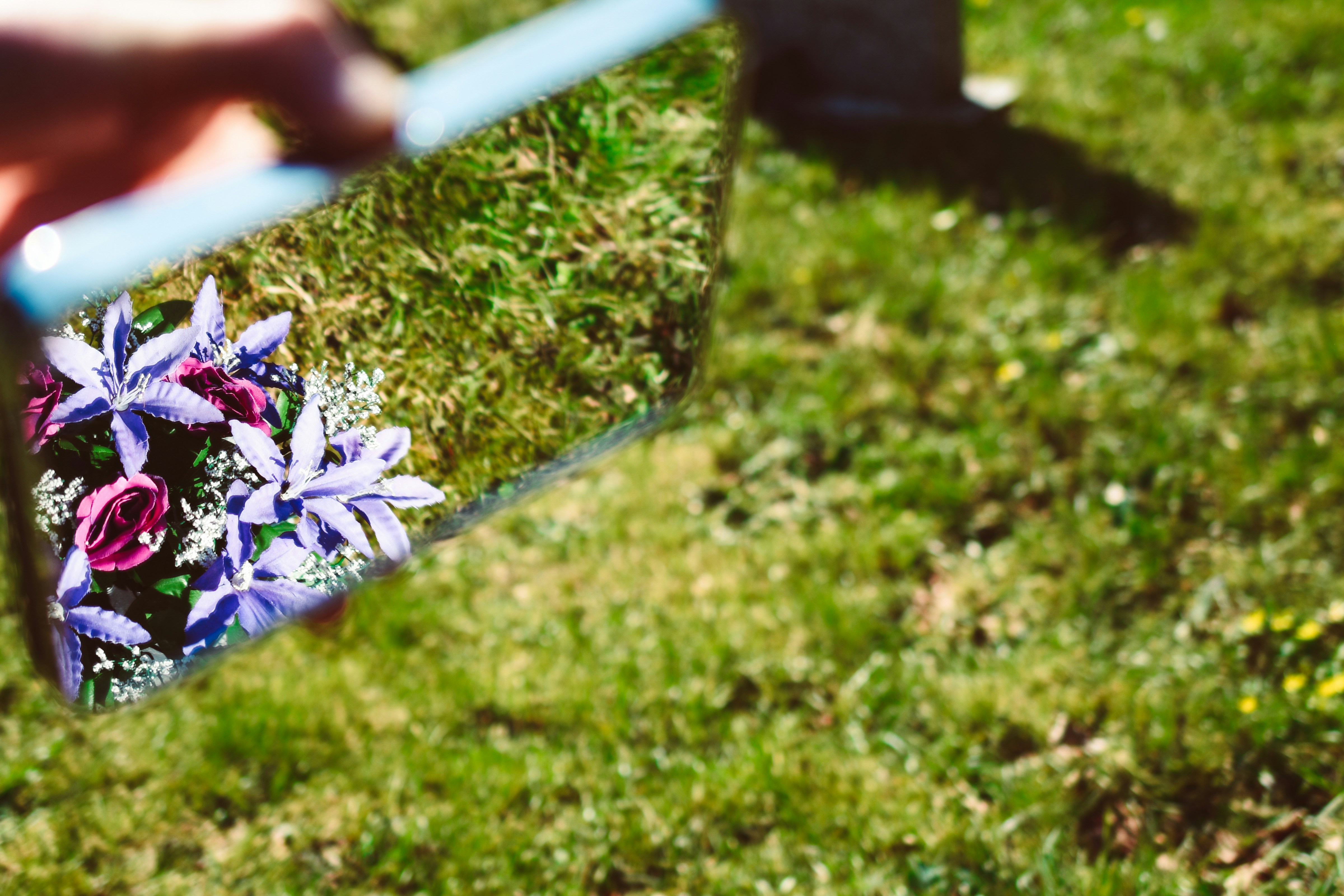 Colorful flowers reflected in a handheld mirror against a grassy background.