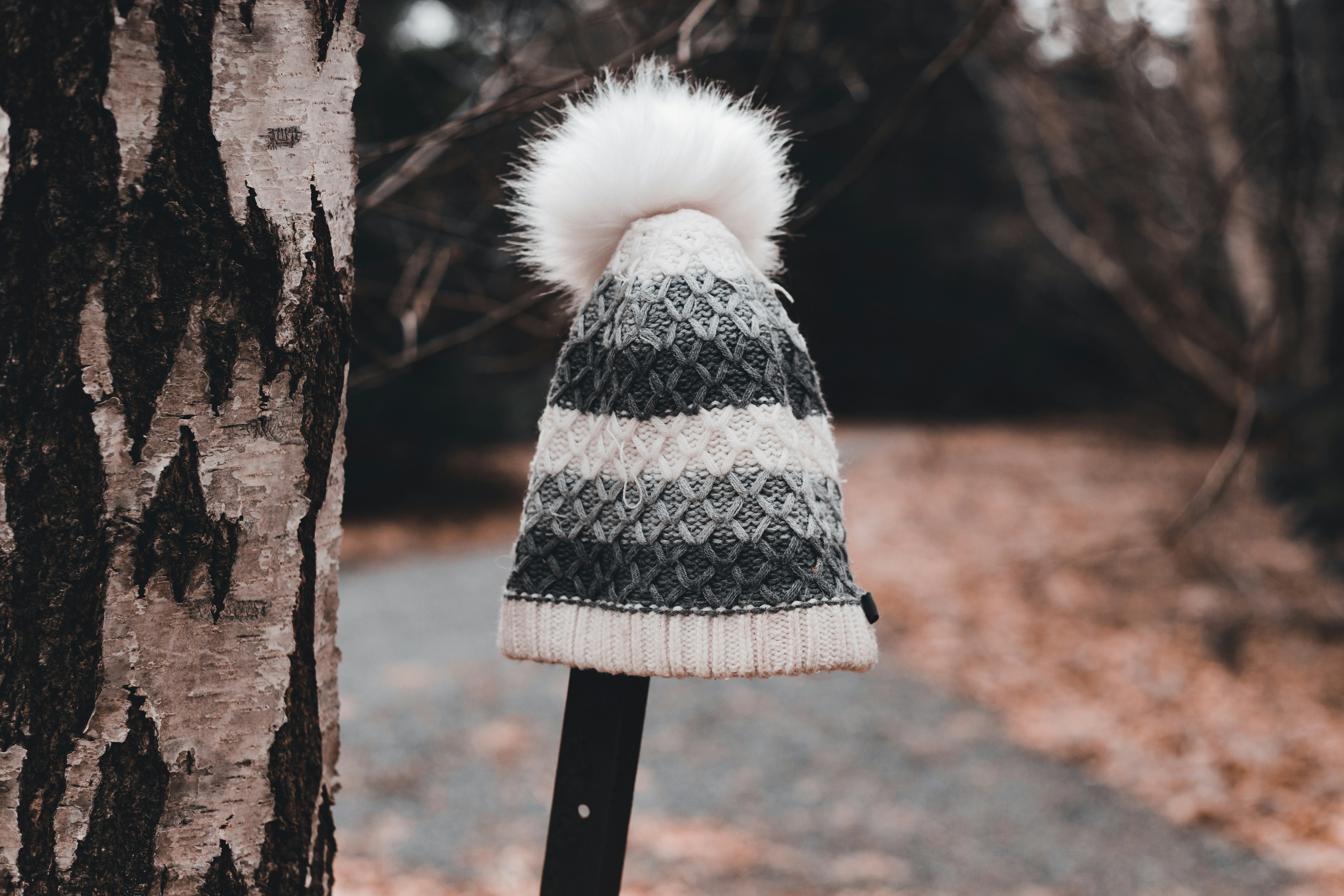 white and black knit cap on brown tree