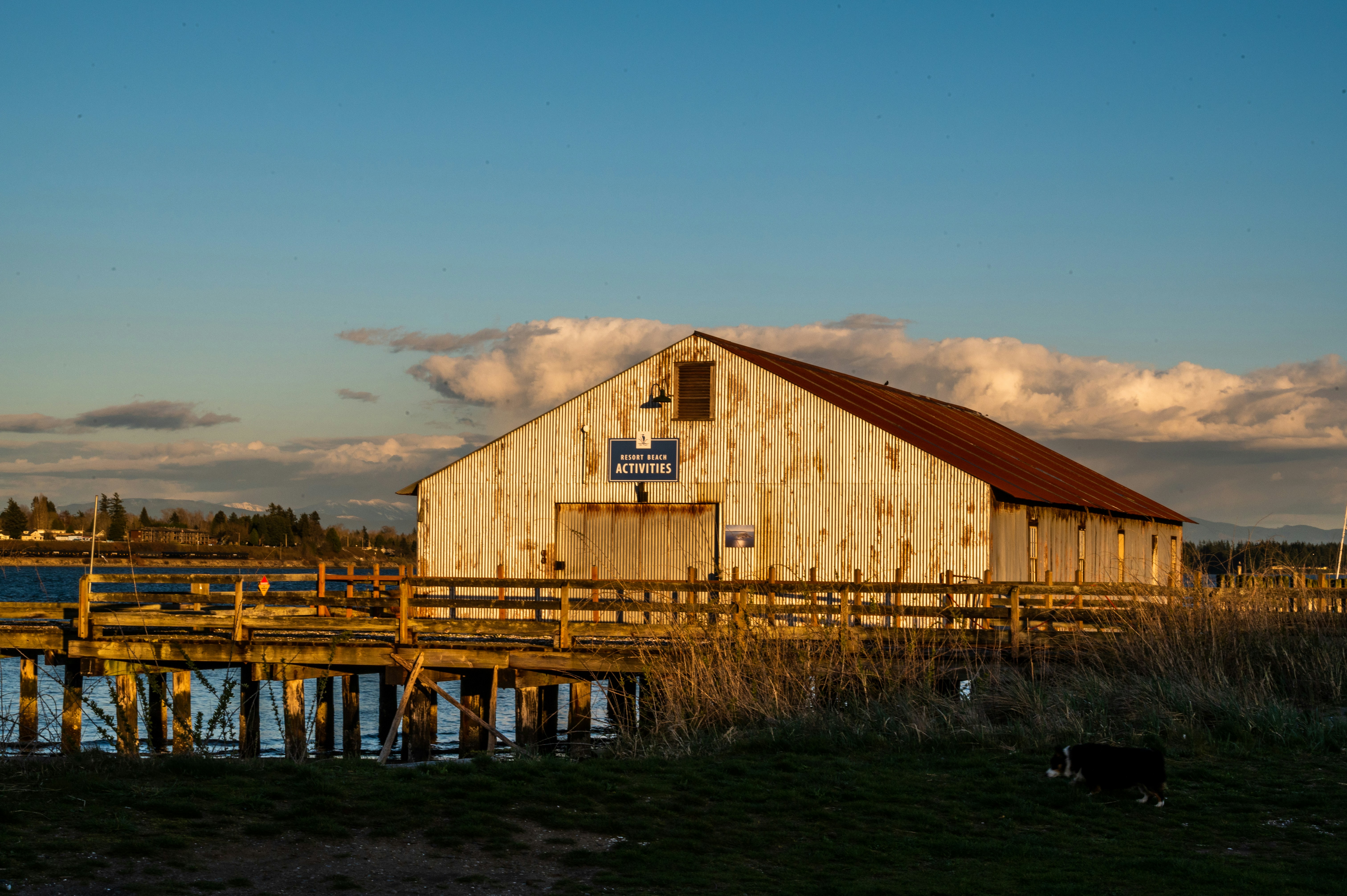 Golden Hour on the Pier: Weathered Barn Extends Over Calm Water