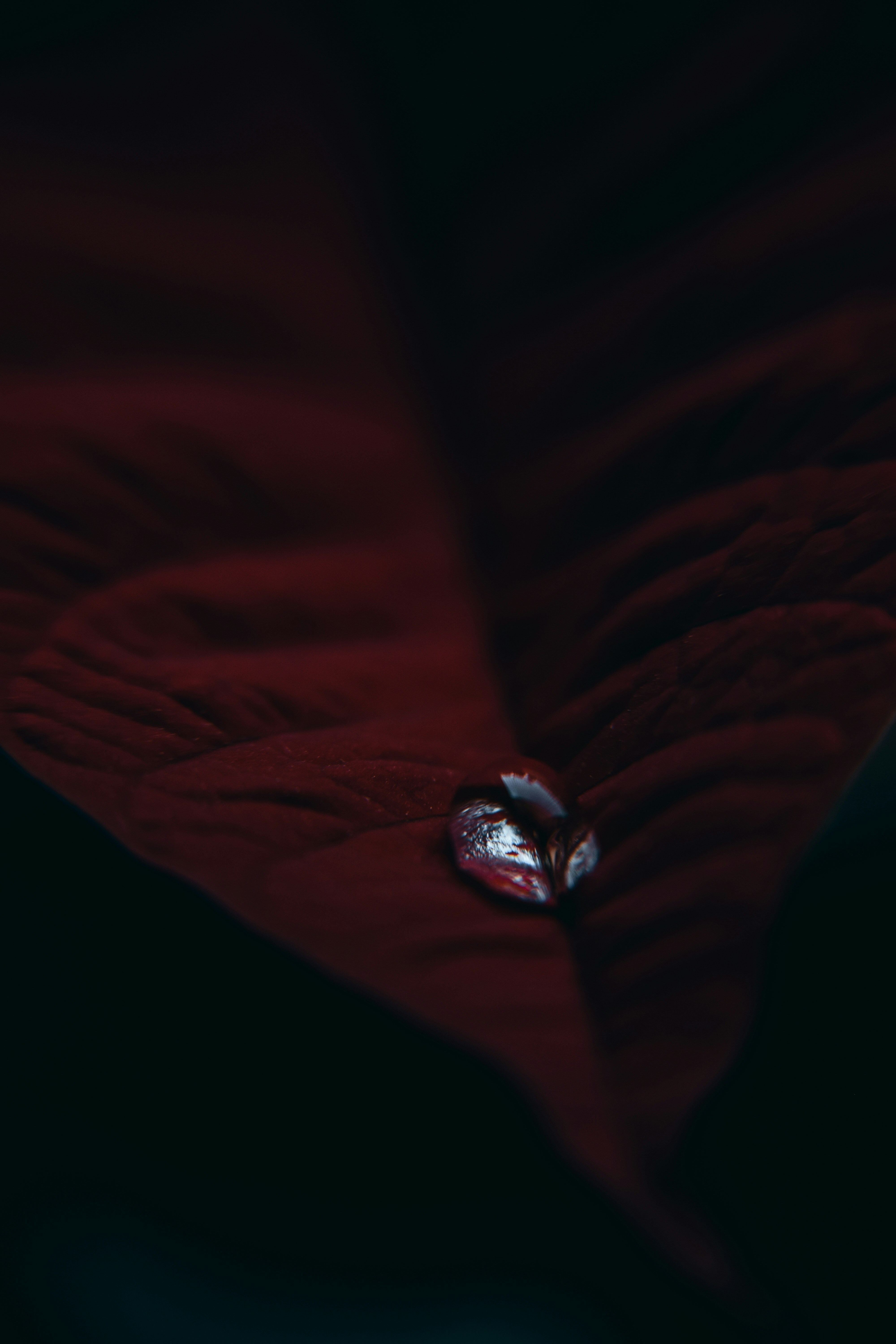 silver diamond ring on red textile