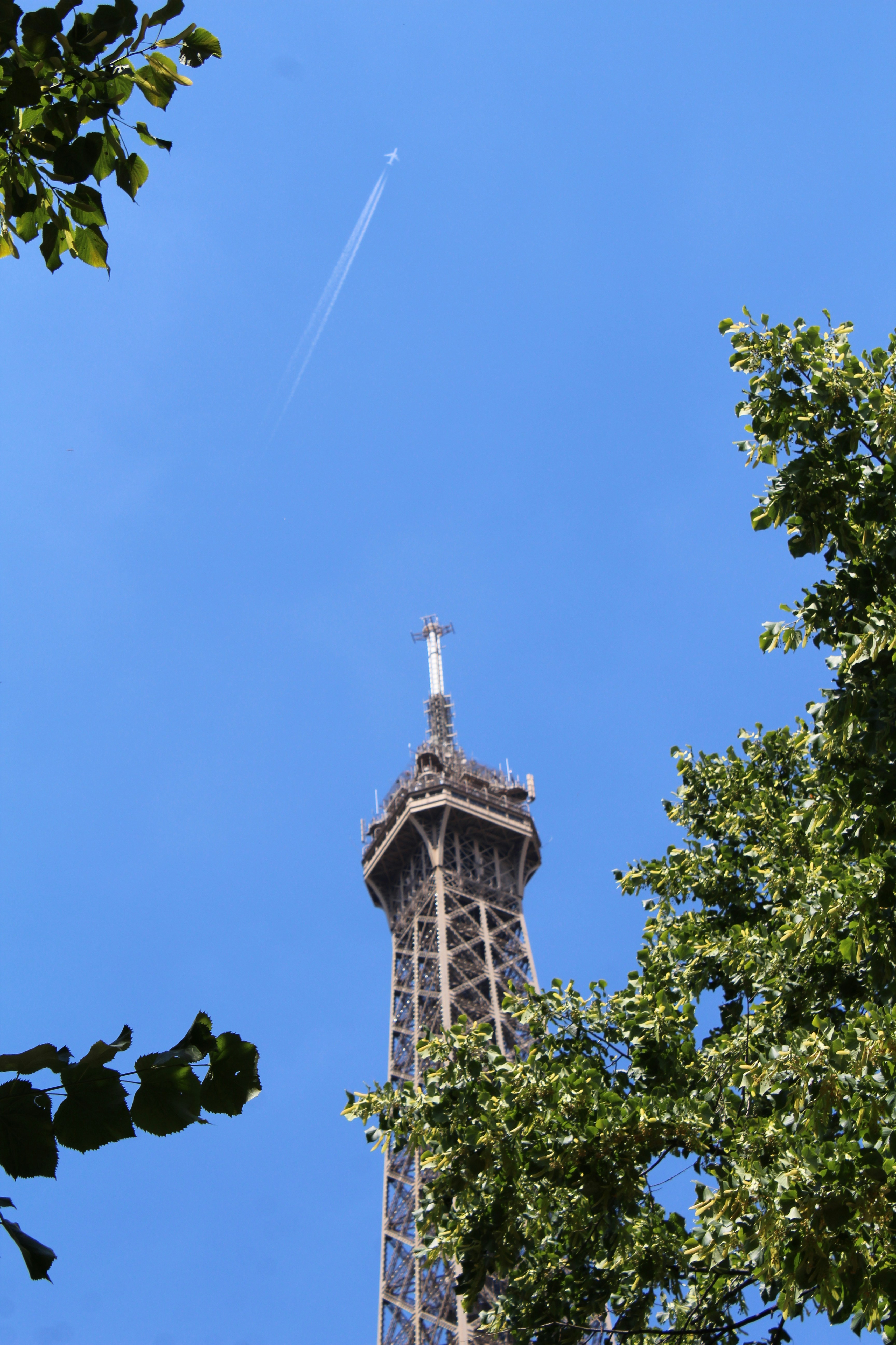 Eiffel Tower framed by lush greenery, with a jet contrail streaking across the clear blue sky above.