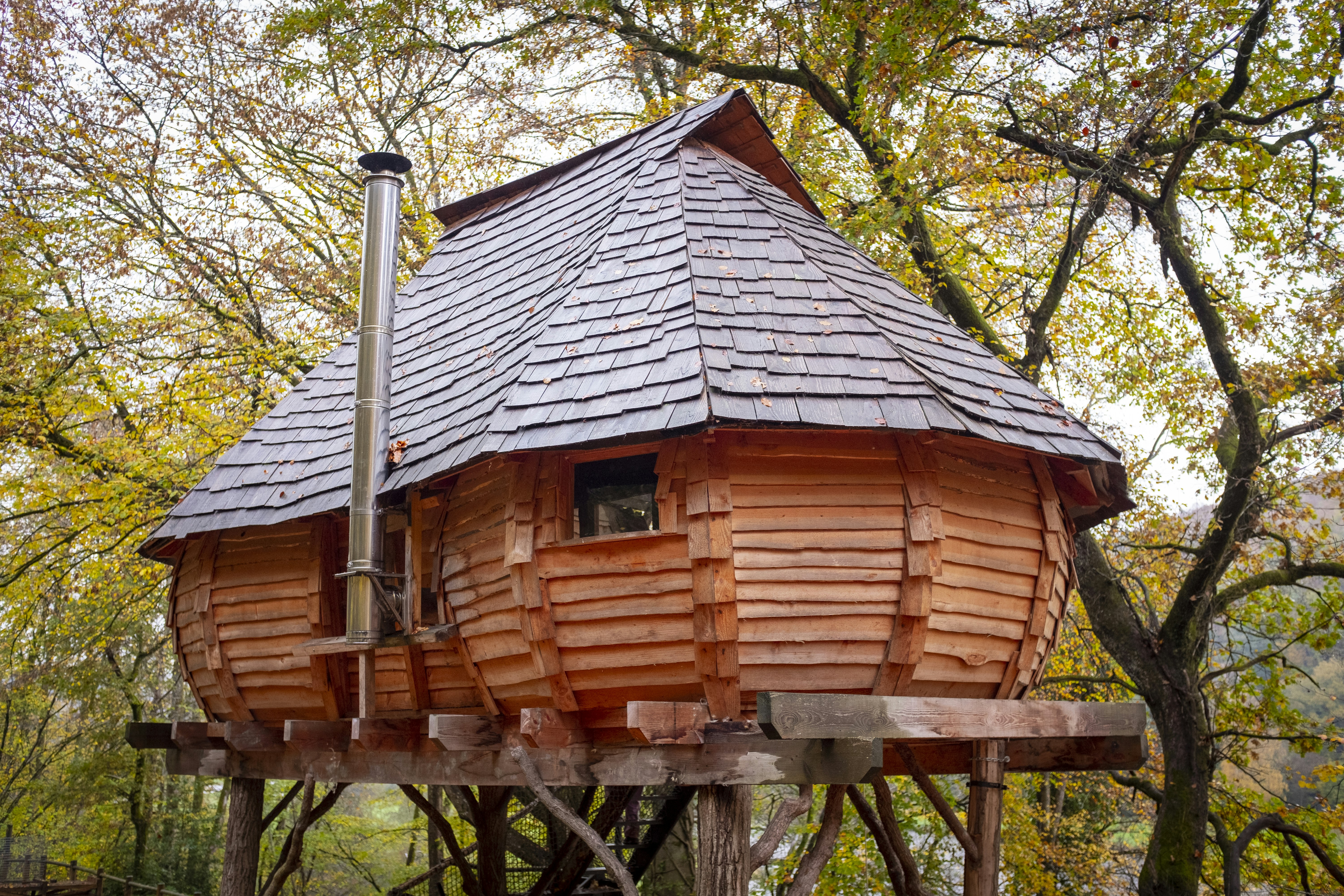 750+ Tree House Pictures | Download Free Images on Unsplash
