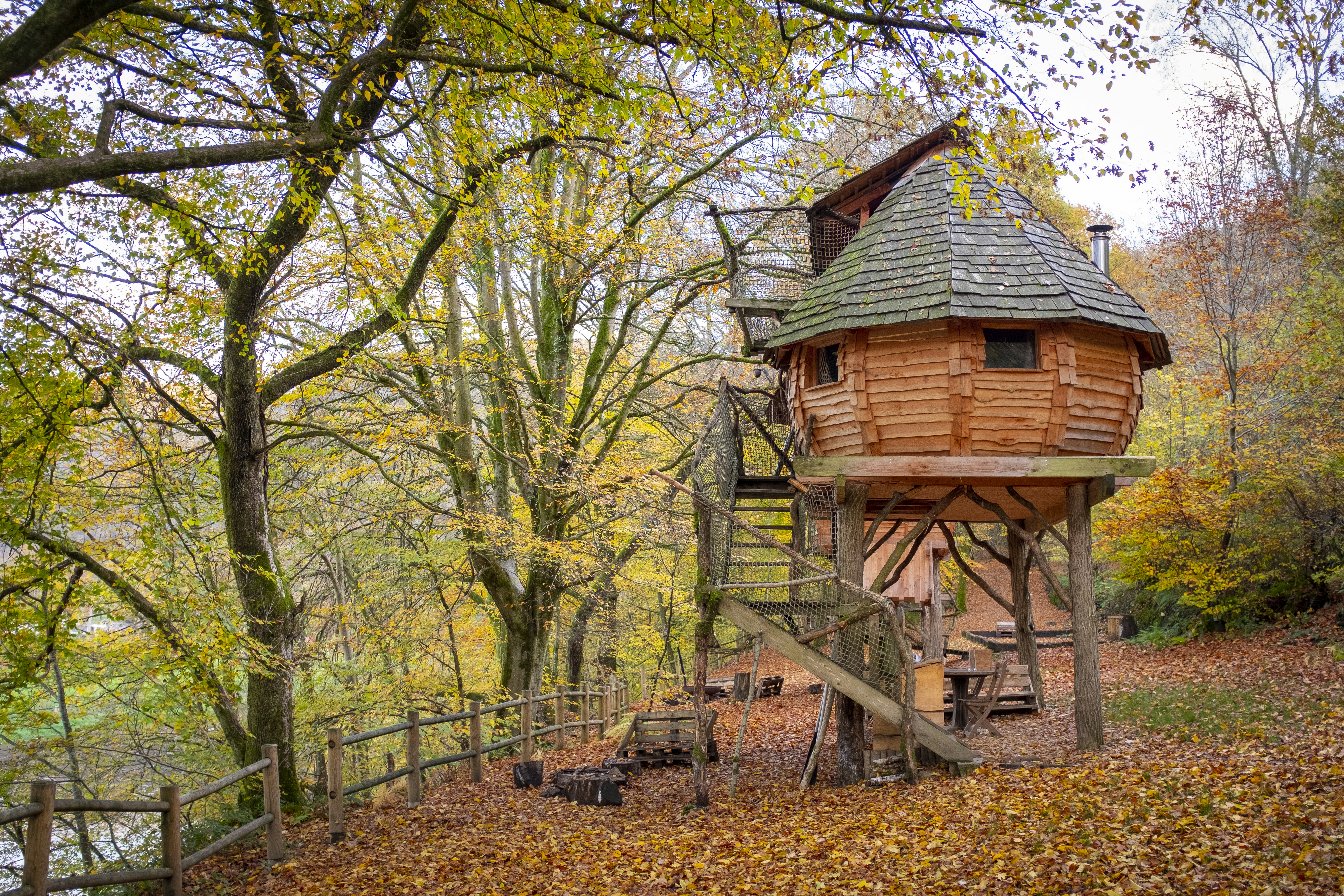 Treehouse Pictures | Download Free Images on Unsplash