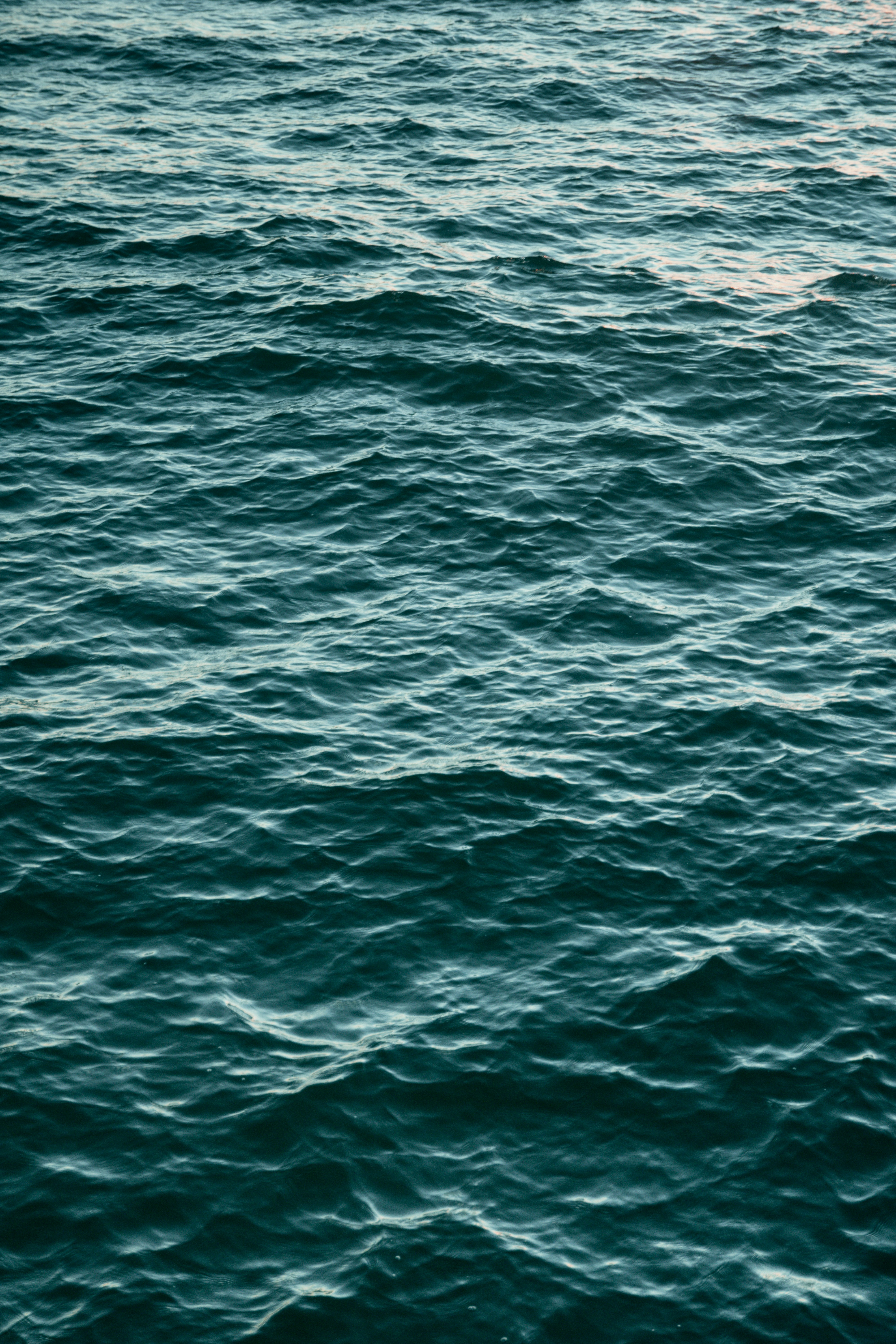 Blue body of water during daytime photo – Free Punta del este maldonado ...