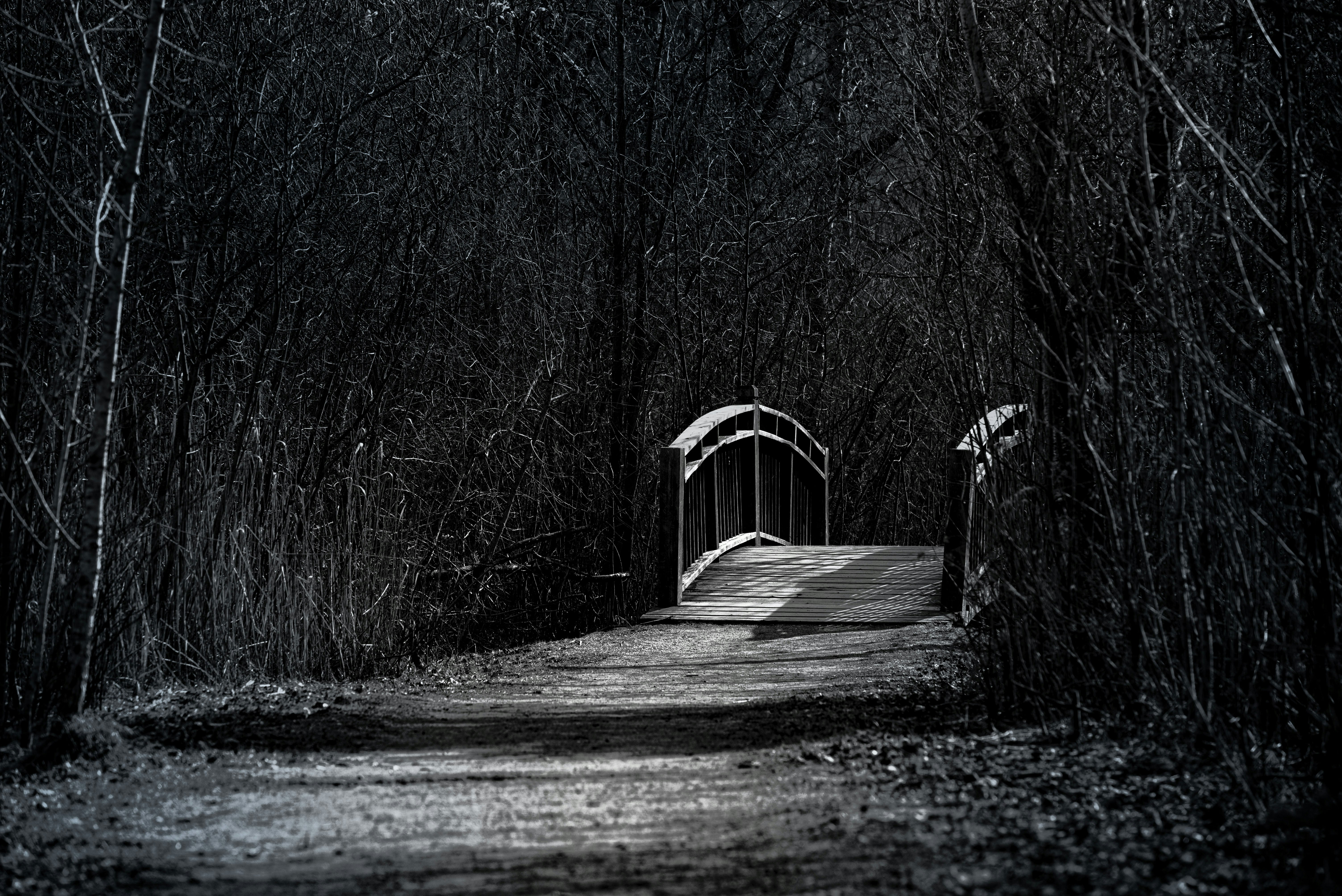 Spooky Backgrounds | 9 best free spooky, background, grey and building ...