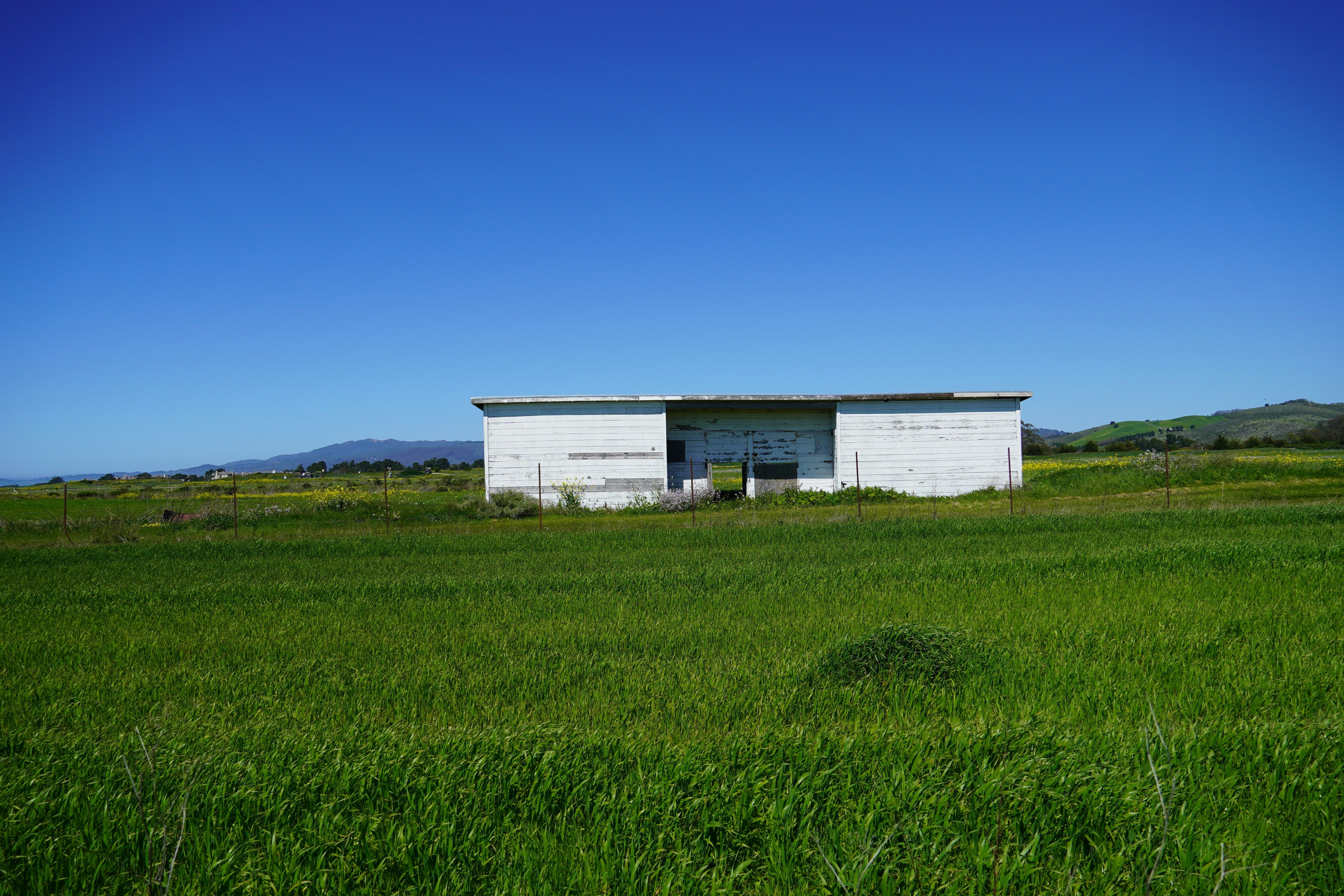 white and brown house on green grass field under blue sky during daytime