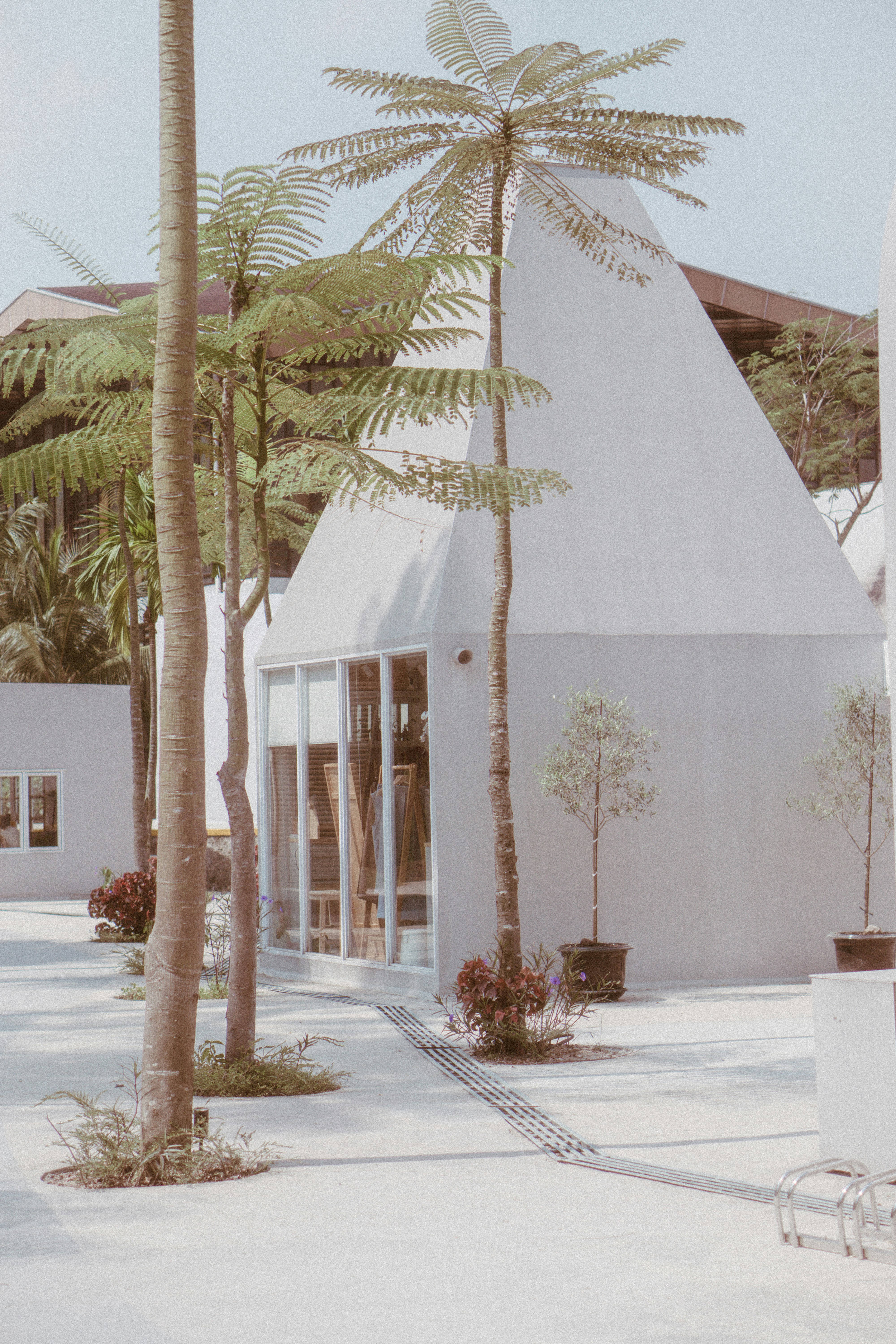 Modern architectural structure with a triangular roof surrounded by palm trees and minimalist landscaping.
