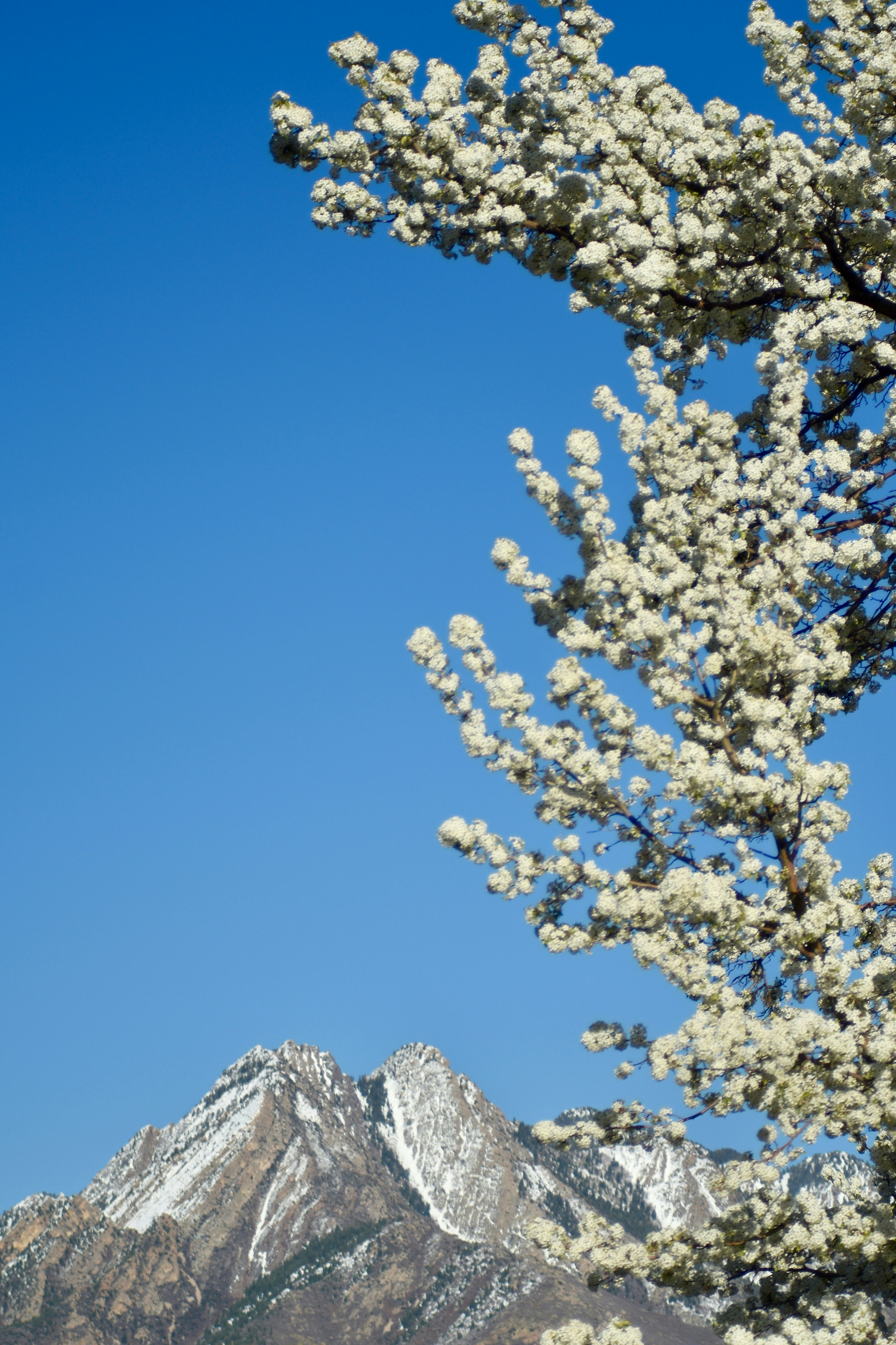 Murray sharp in straight-sets Indian Wells opener - Red Reef Research