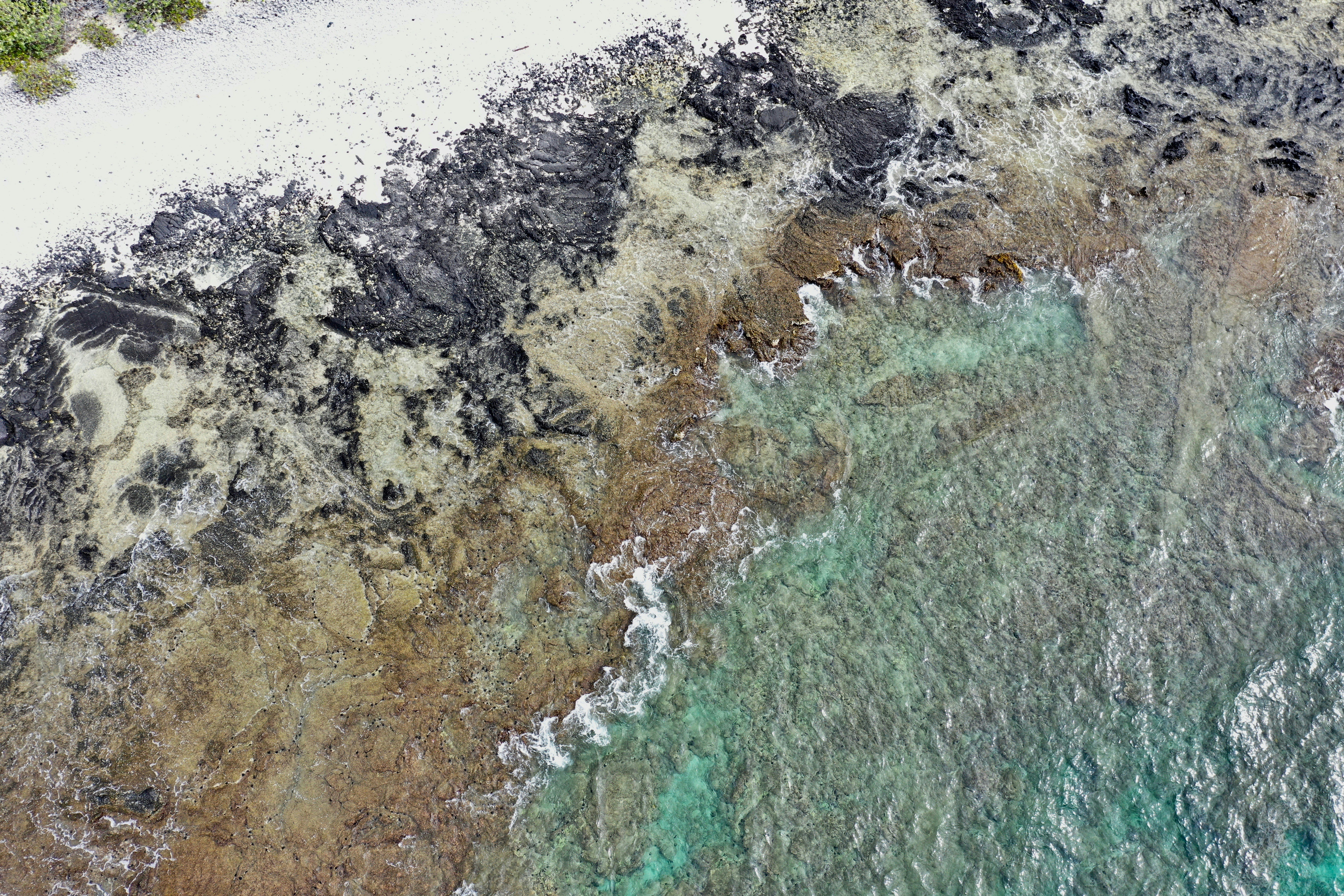 brown and green abstract paintingmana5280