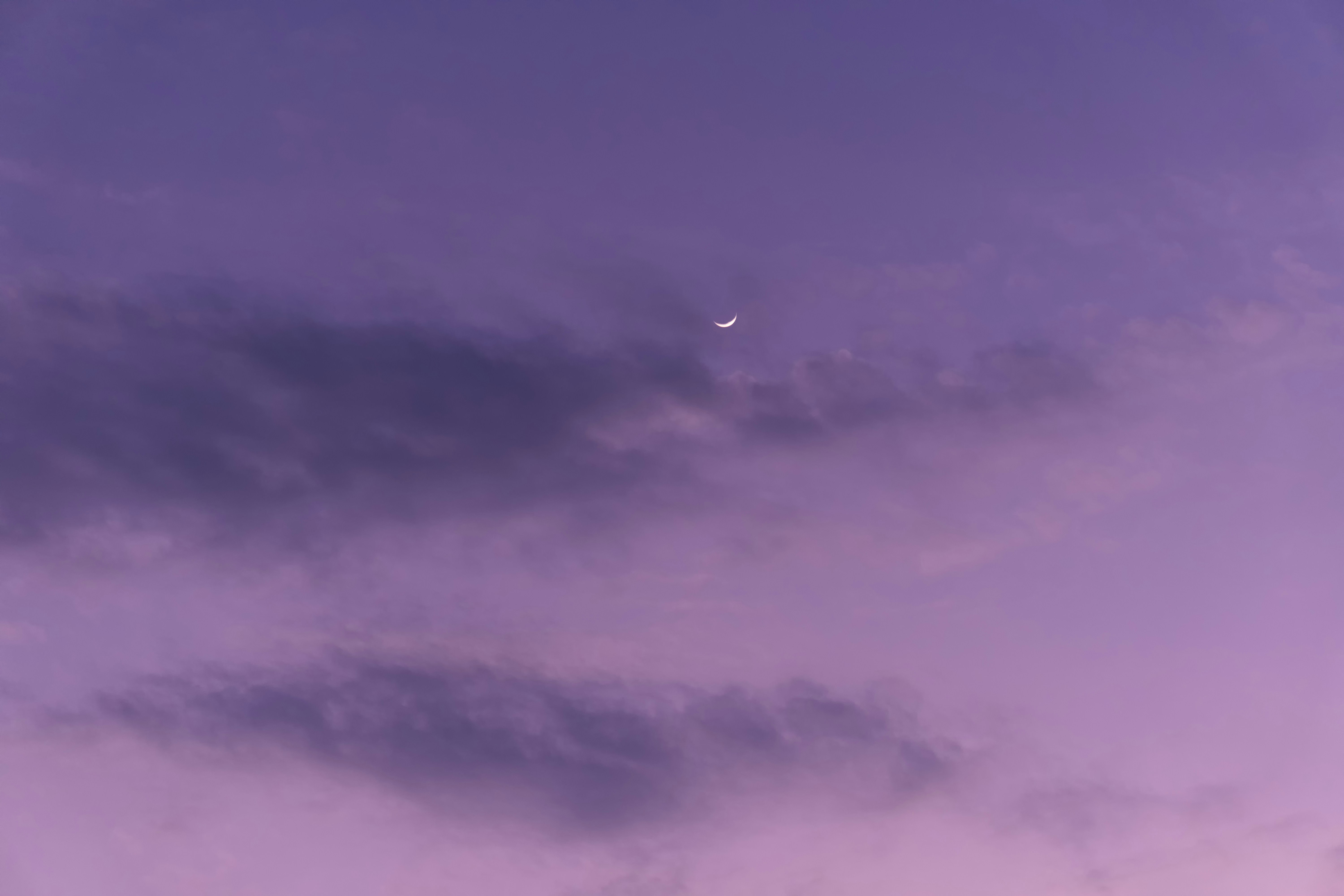 Purple Moon Pictures | Download Free Images on Unsplash