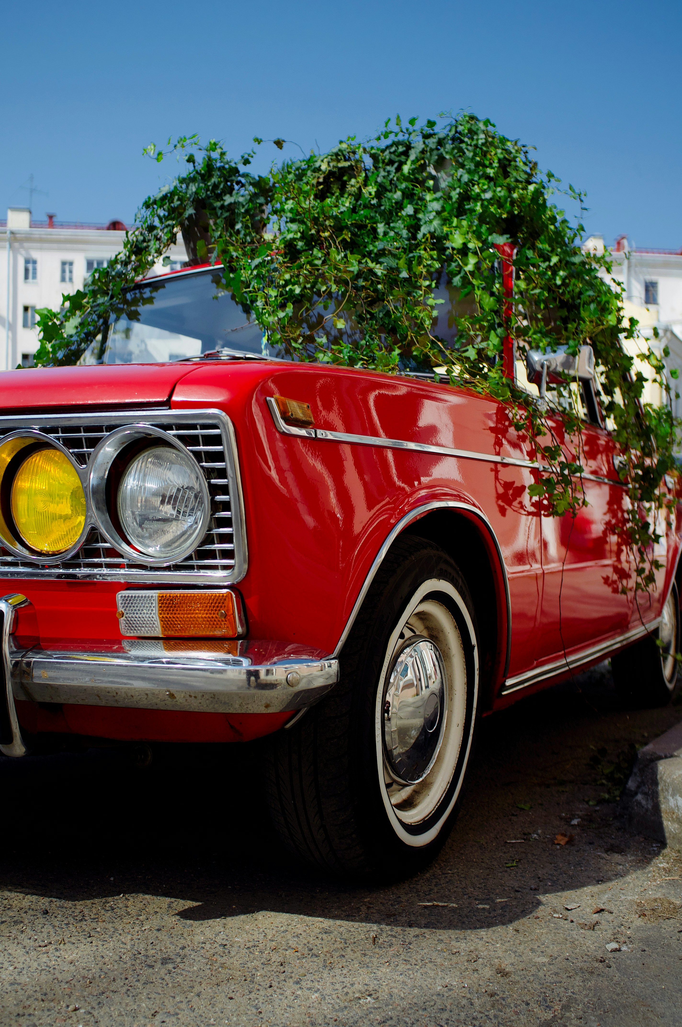 A vintage red car adorned with lush green vines, showcasing a unique blend of automotive nostalgia and nature's reclamation.