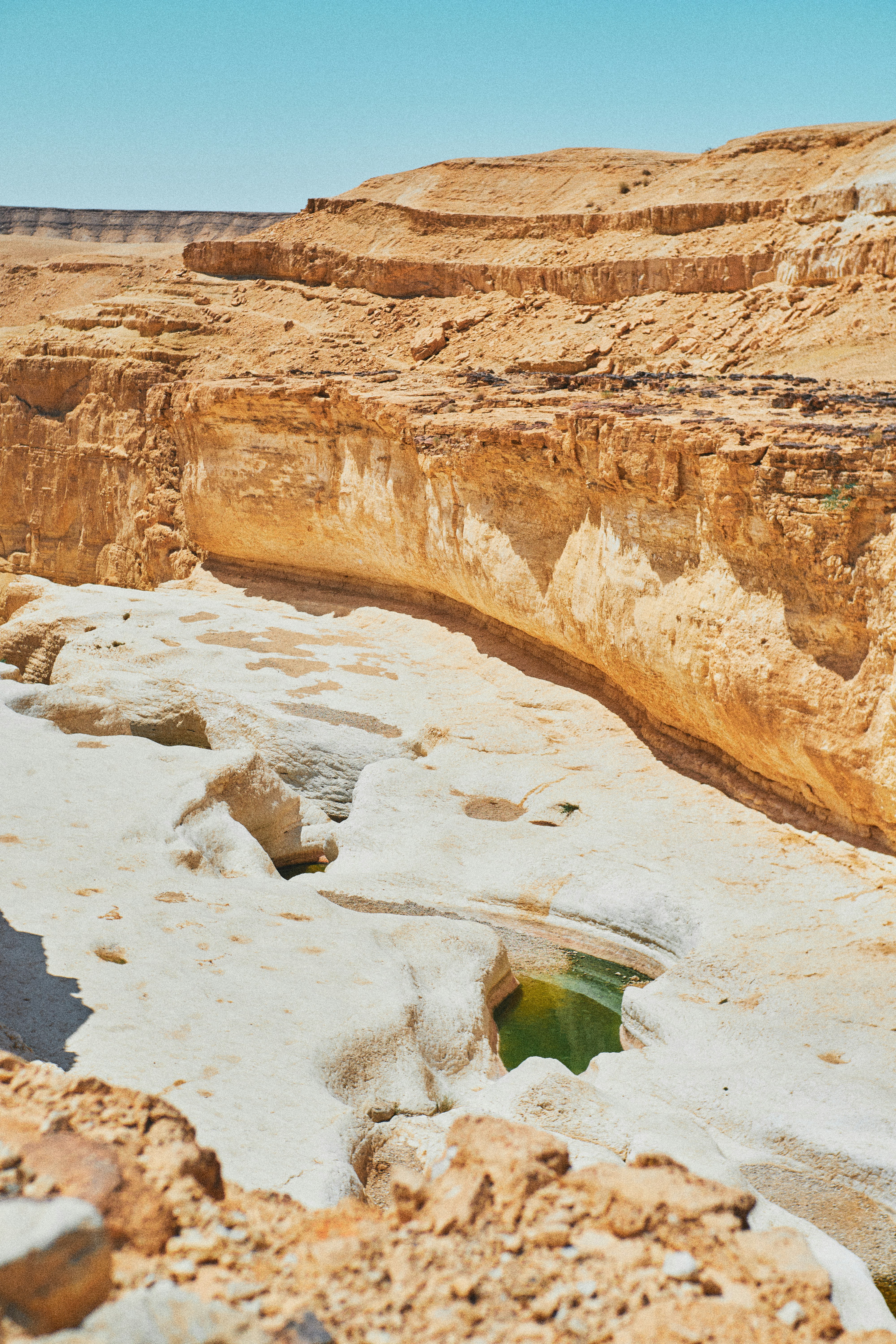 Emerald Pool in a Carved Desert Amphitheater