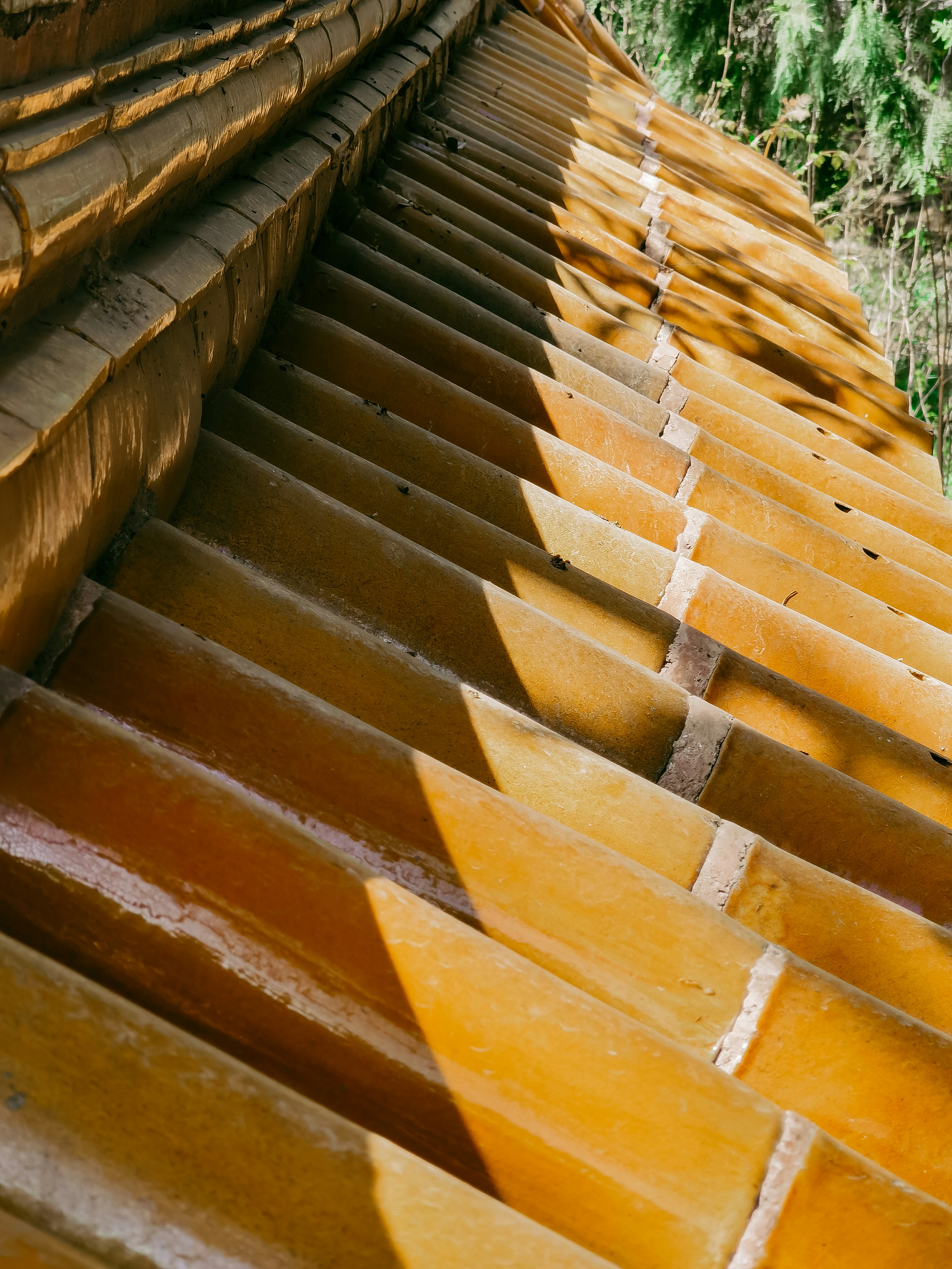 Sun-Kissed Clay Tiles: A Diagonal Run Toward the Green Canopy