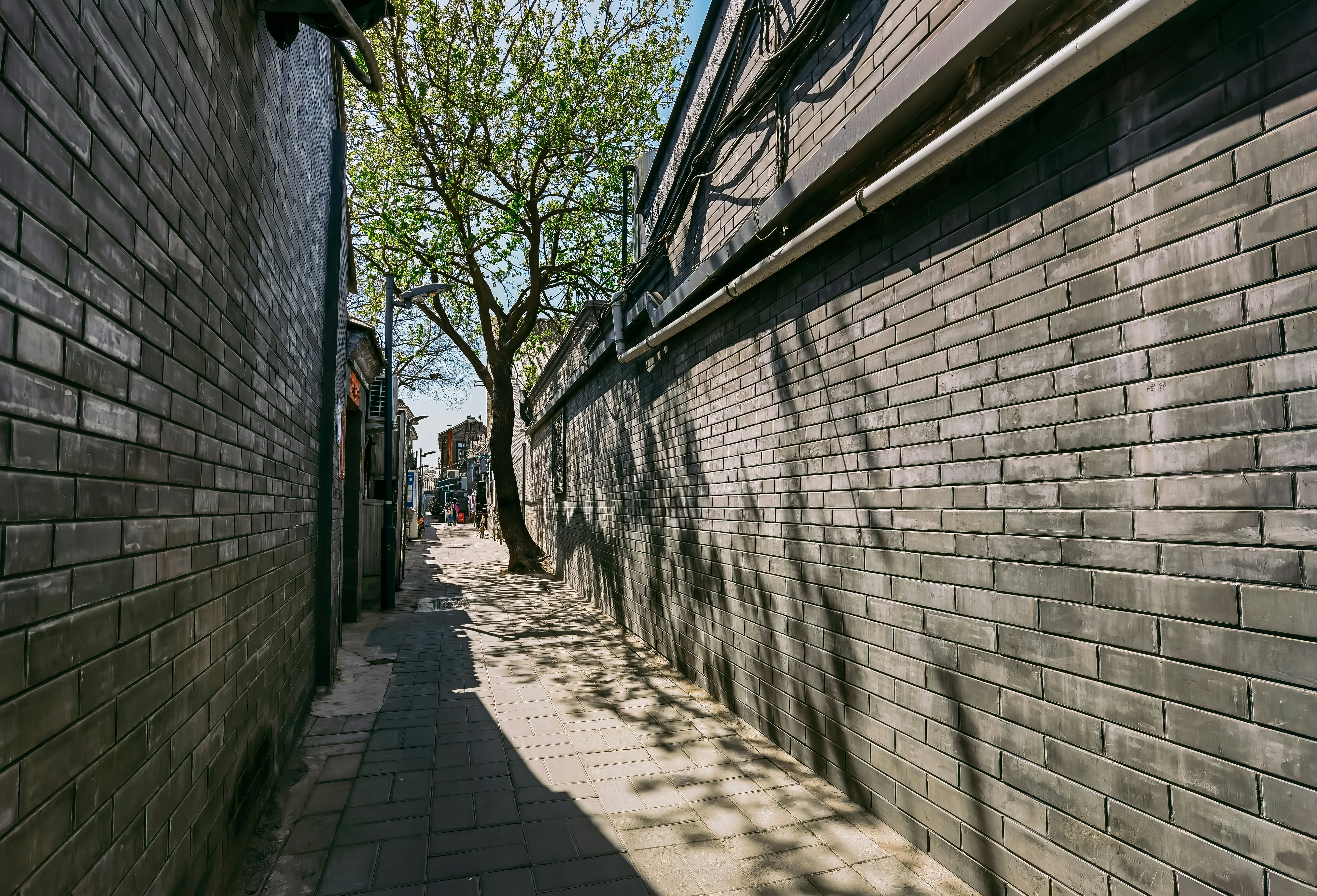 Narrow alleyway lined with textured brick walls, illuminated by dappled sunlight filtering through a nearby tree, creating intricate shadows on the ground.