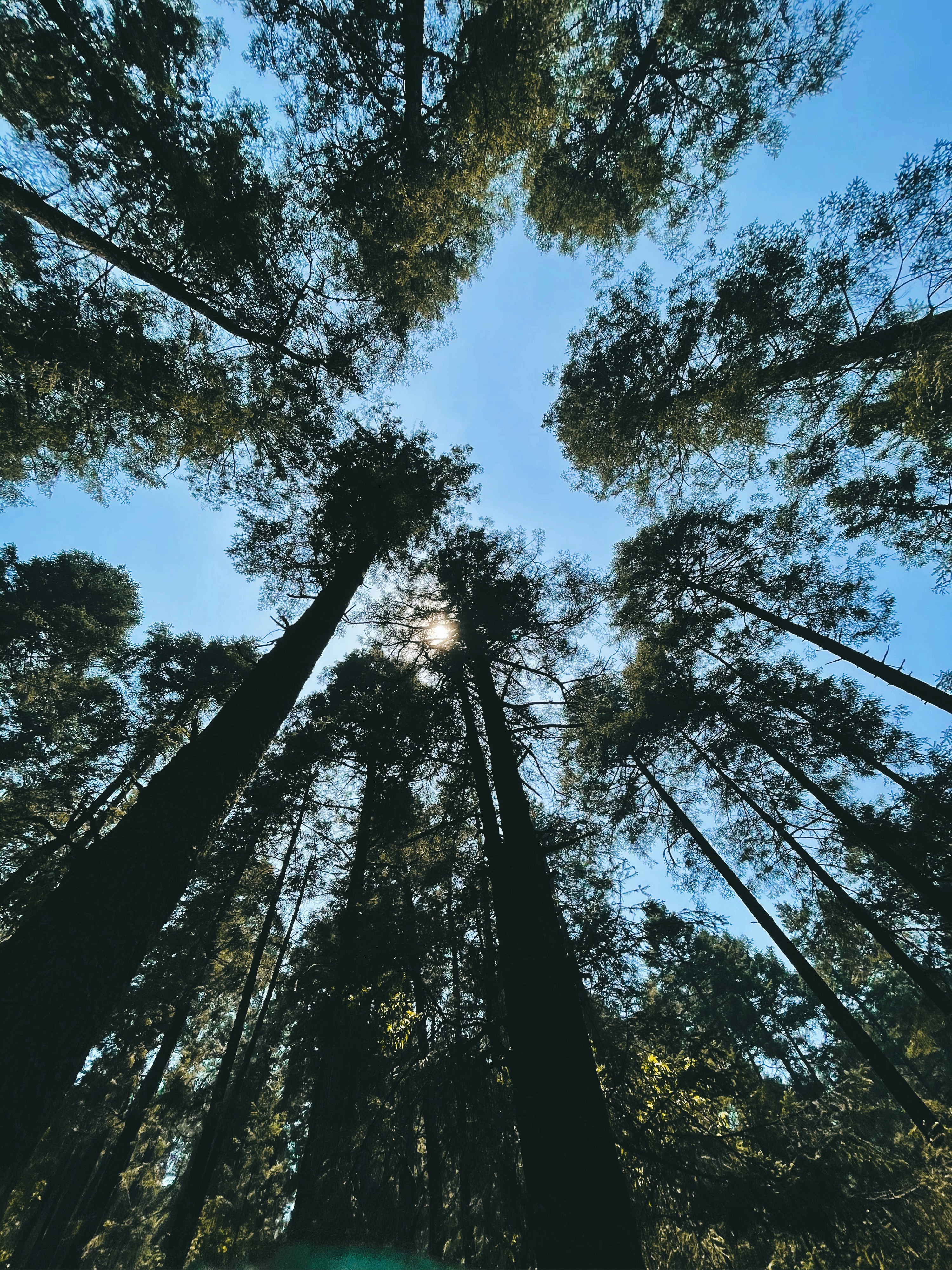Stephanie Quiroz (@stephqz) | Comunidade de fotos da Unsplash