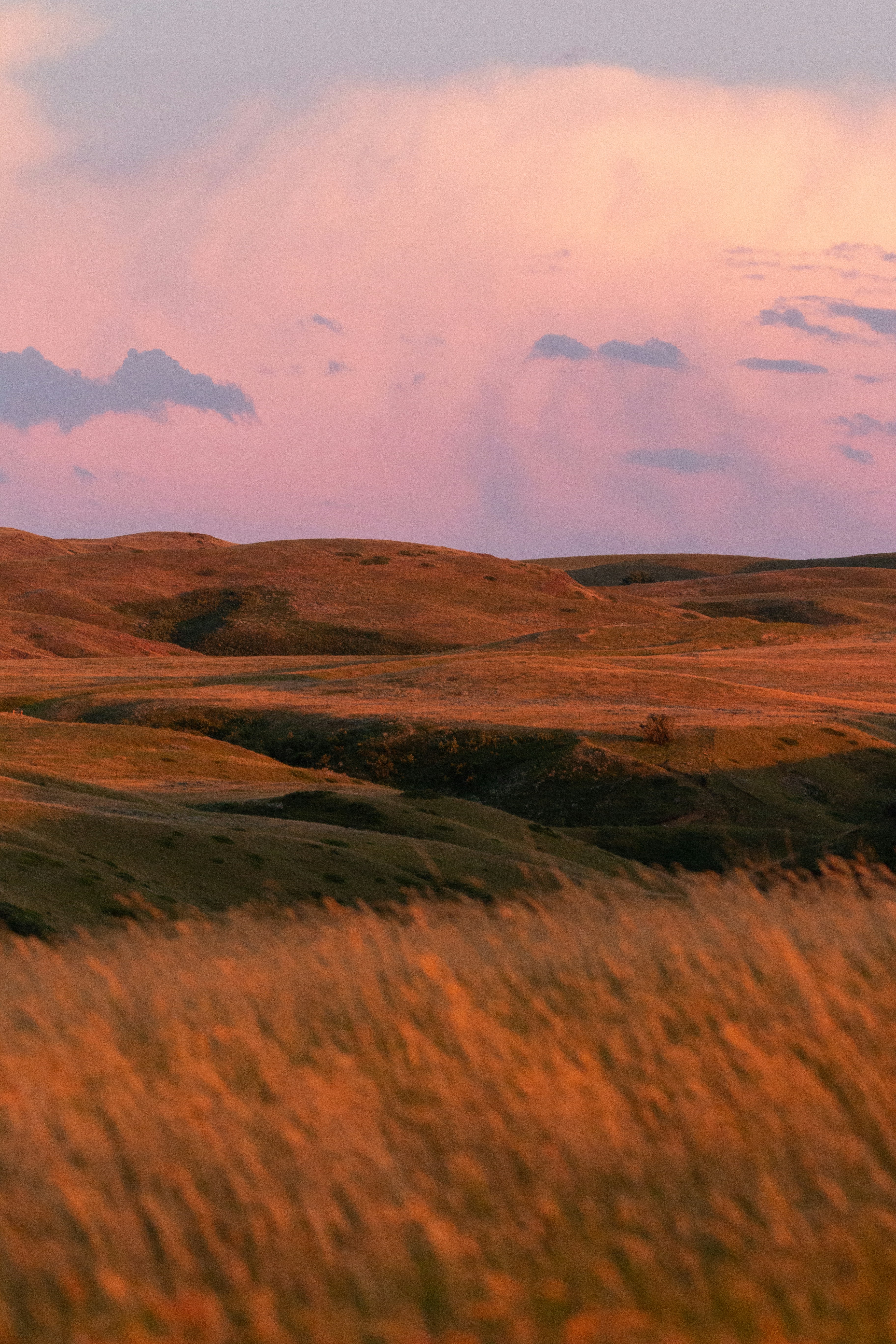 the rolling hills