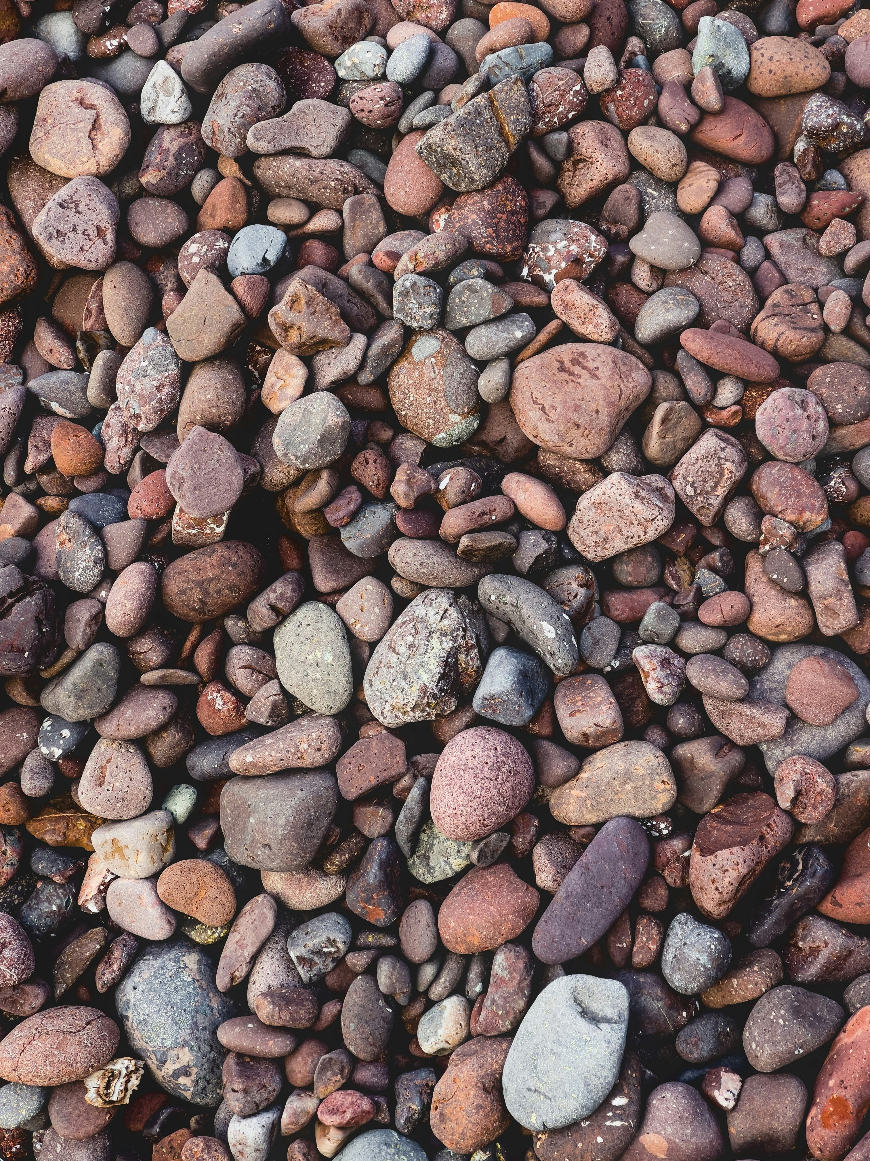 A bunch of rocks that are on the ground photo – Free Nature Image on ...