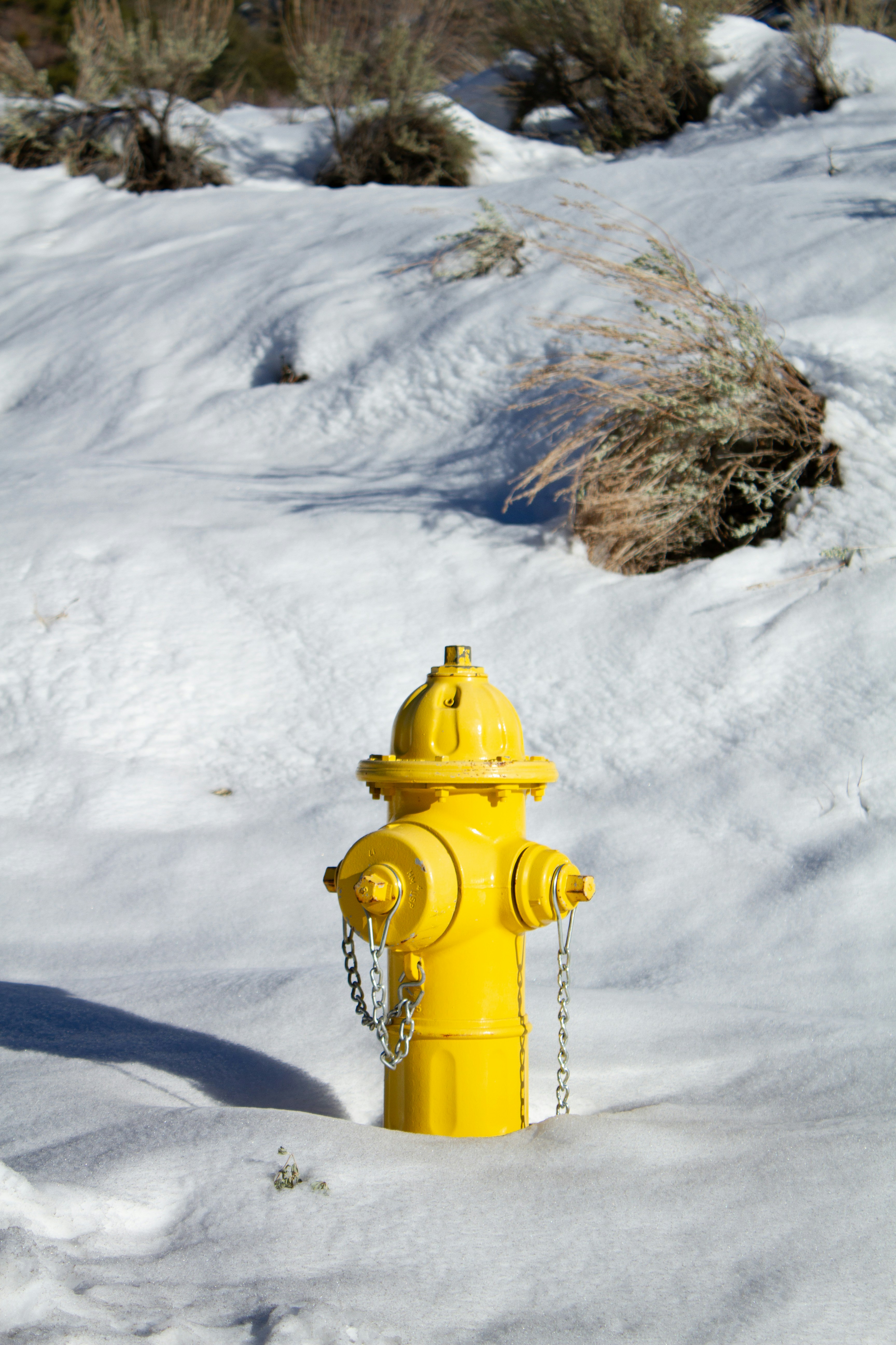 Bright yellow fire hydrant emerging from a blanket of snow, surrounded by sparse vegetation. The contrast highlights its functionality in a winter landscape.