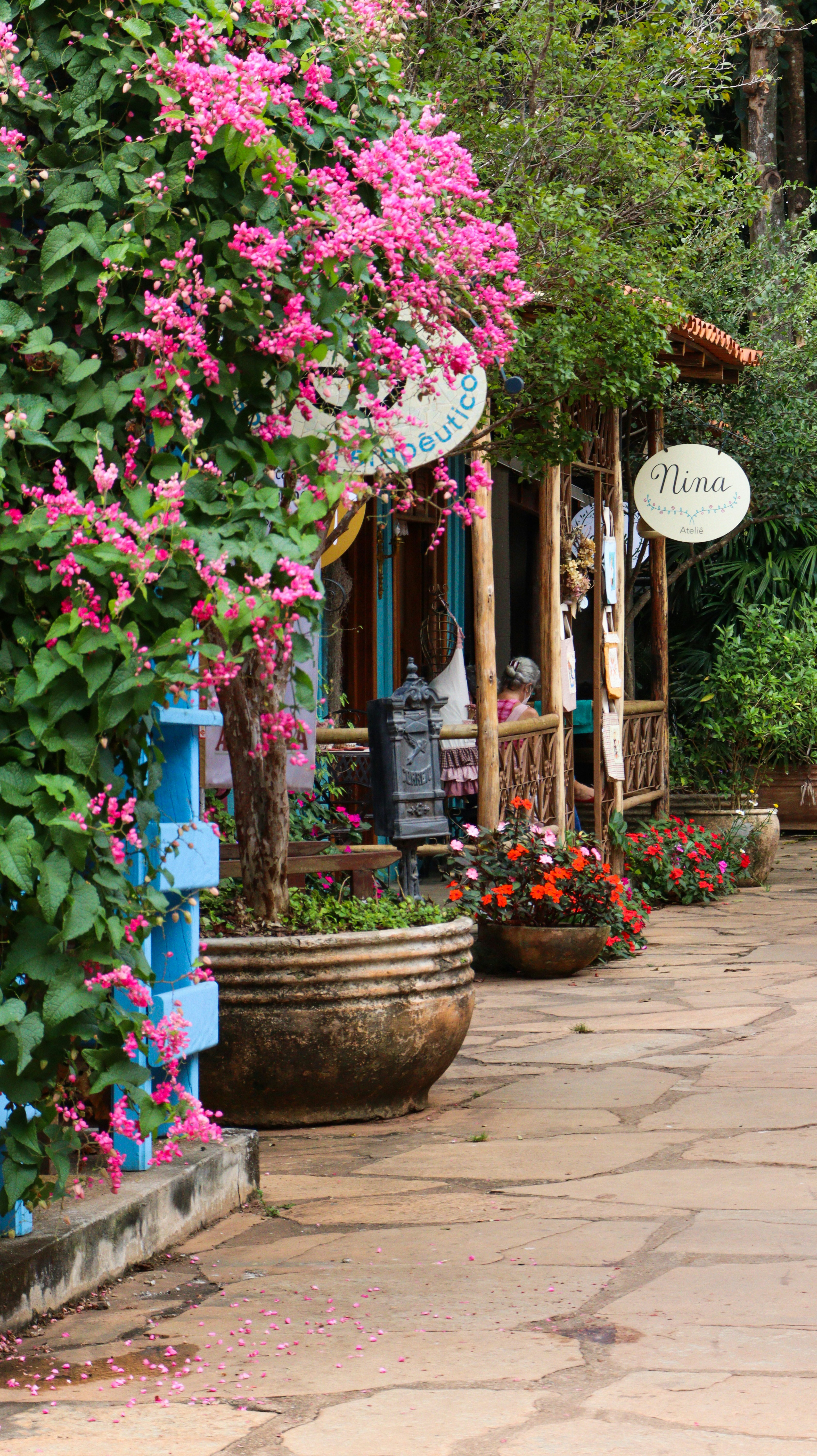 Bougainvillea Boulevard: A Sunlit Boutique Corner with a Circular Nina Sign