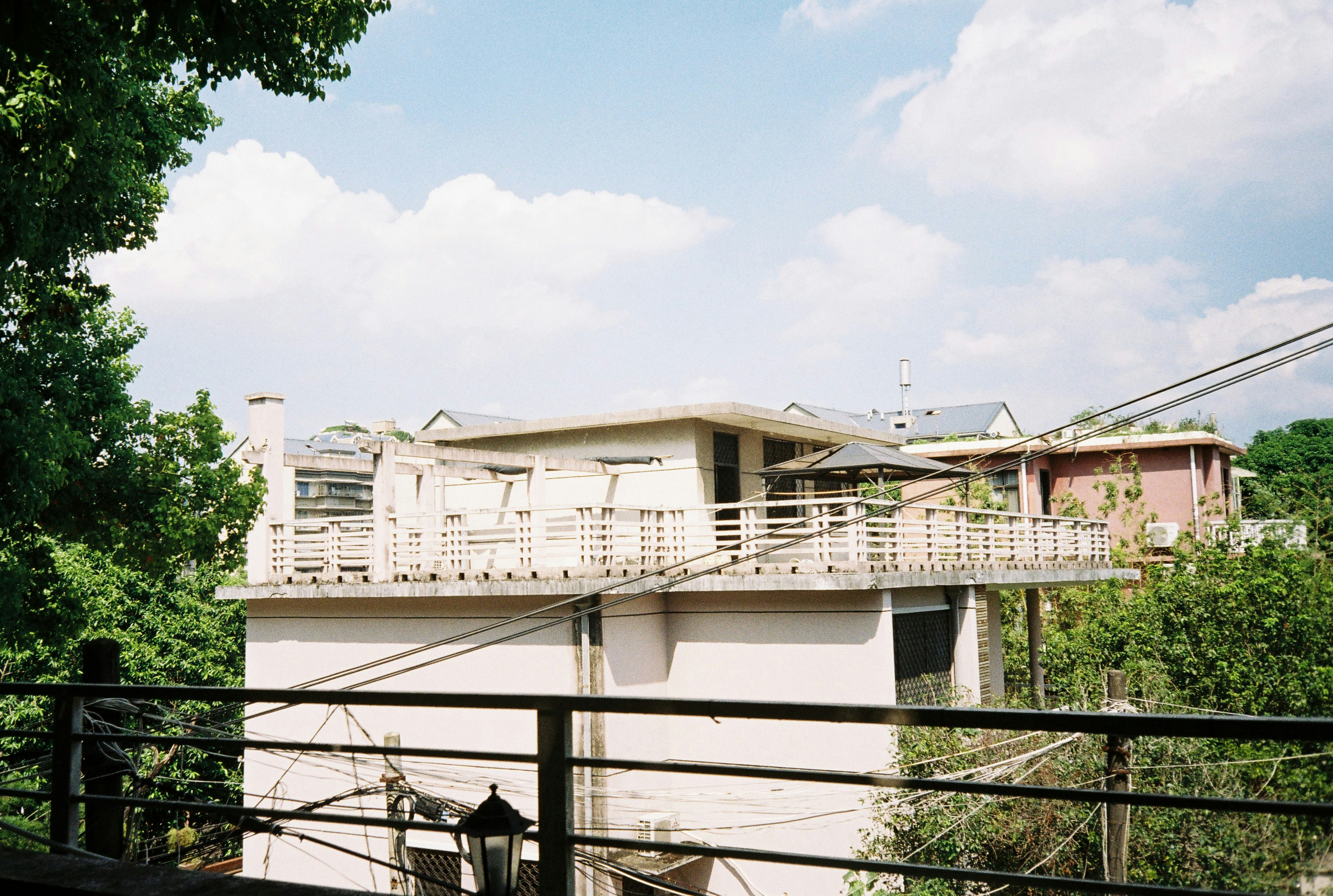 Sunlit Terrace Above the Green Canopy: A Quiet White House