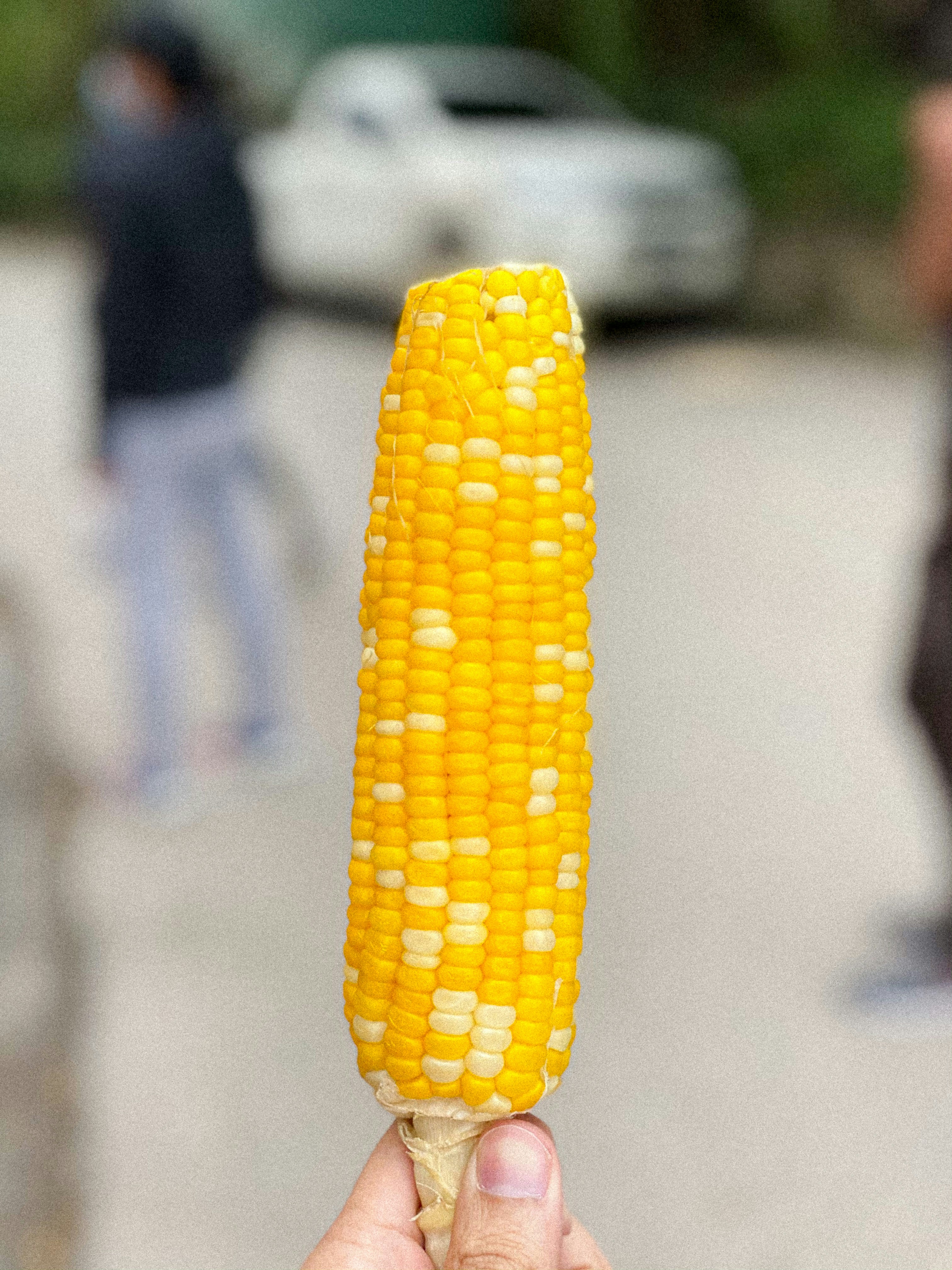 Kernel Spotlight: A sharp corn on the cob held against a softly blurred urban street
