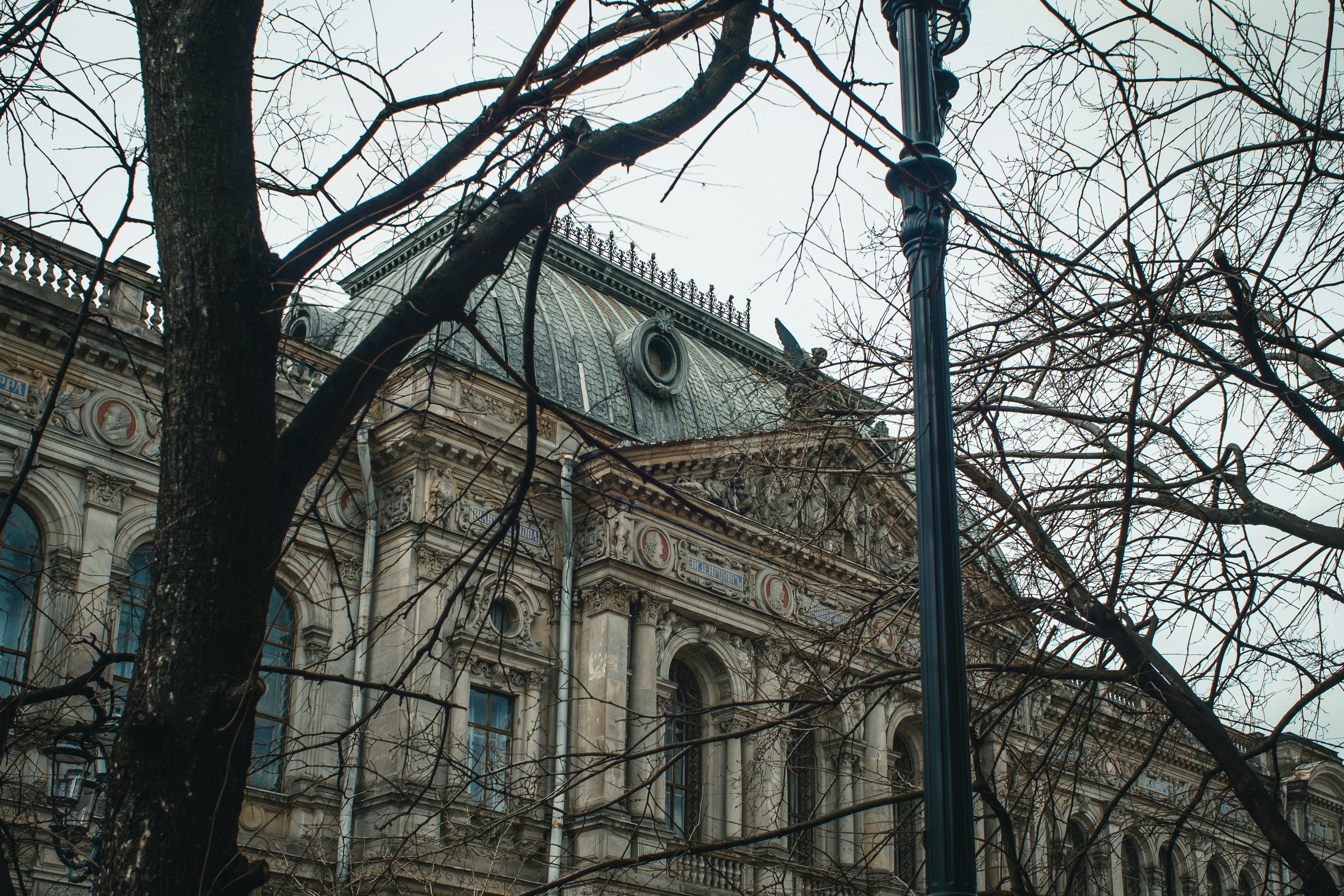 Bare tree near brown concrete building during daytime photo – Free ...