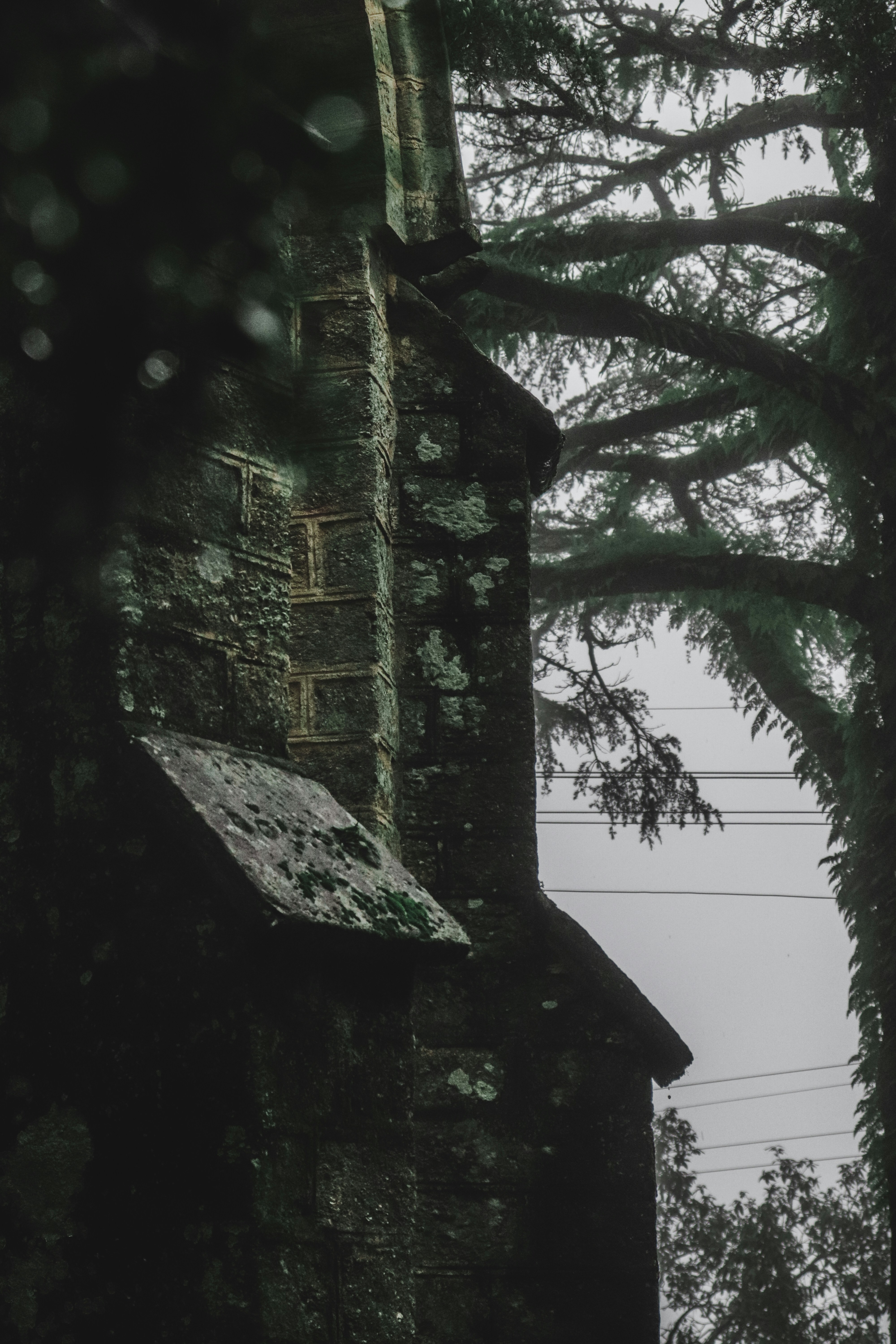 Ancient stone structure partially obscured by fog, framed by towering trees and power lines. The scene evokes a sense of mystery and history.
