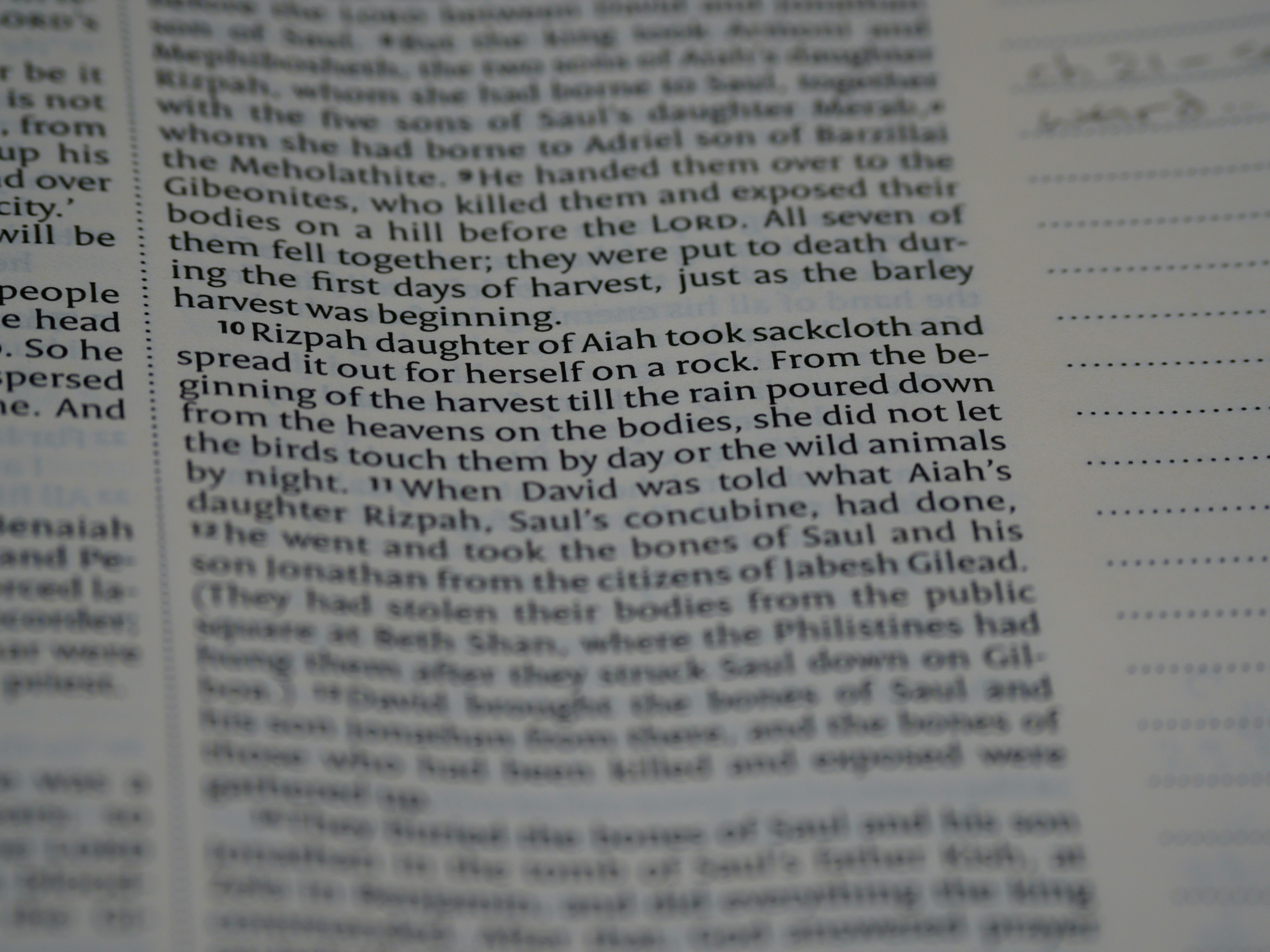 Paragraph Pictures | Download Free Images on Unsplash