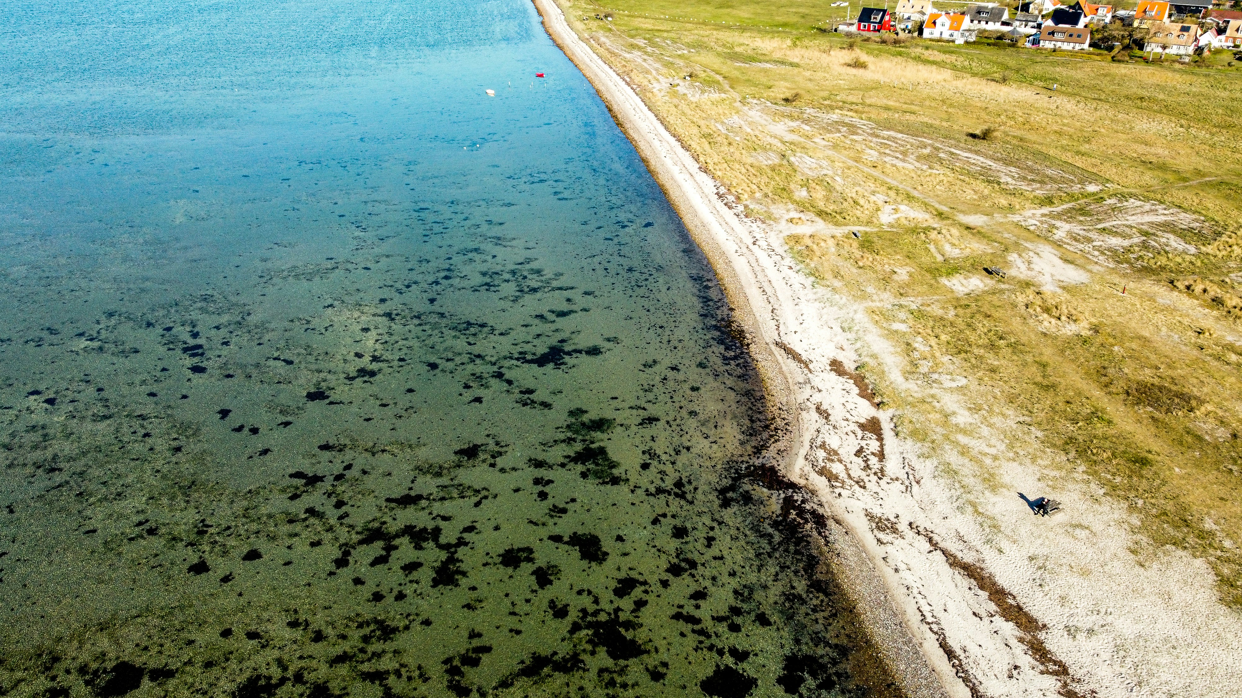 People walking on beach shore during daytime photo – Free Hundested ...