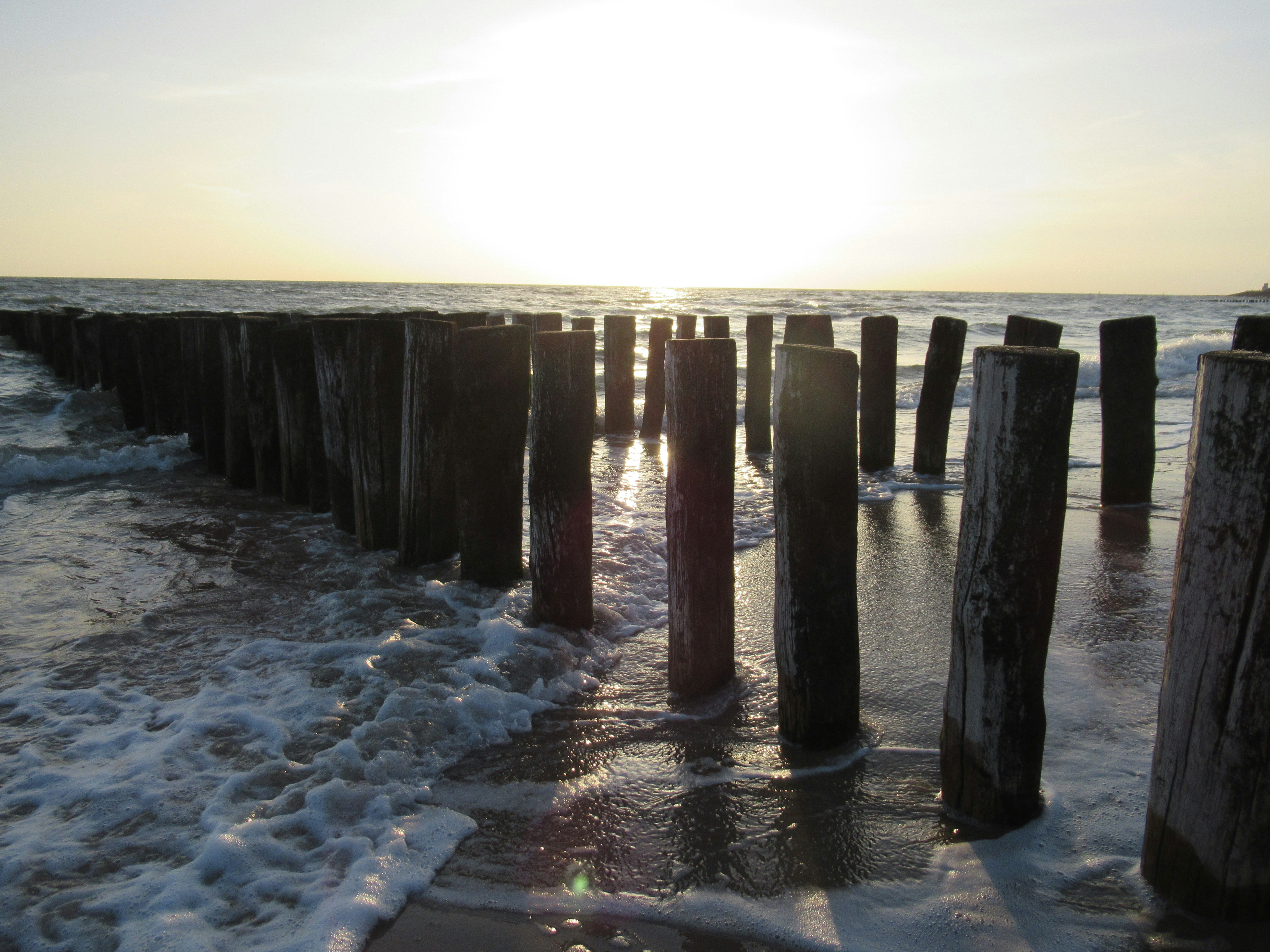 Dusk Columns: Weathered Pilings Stand Against a Sunlit Horizon