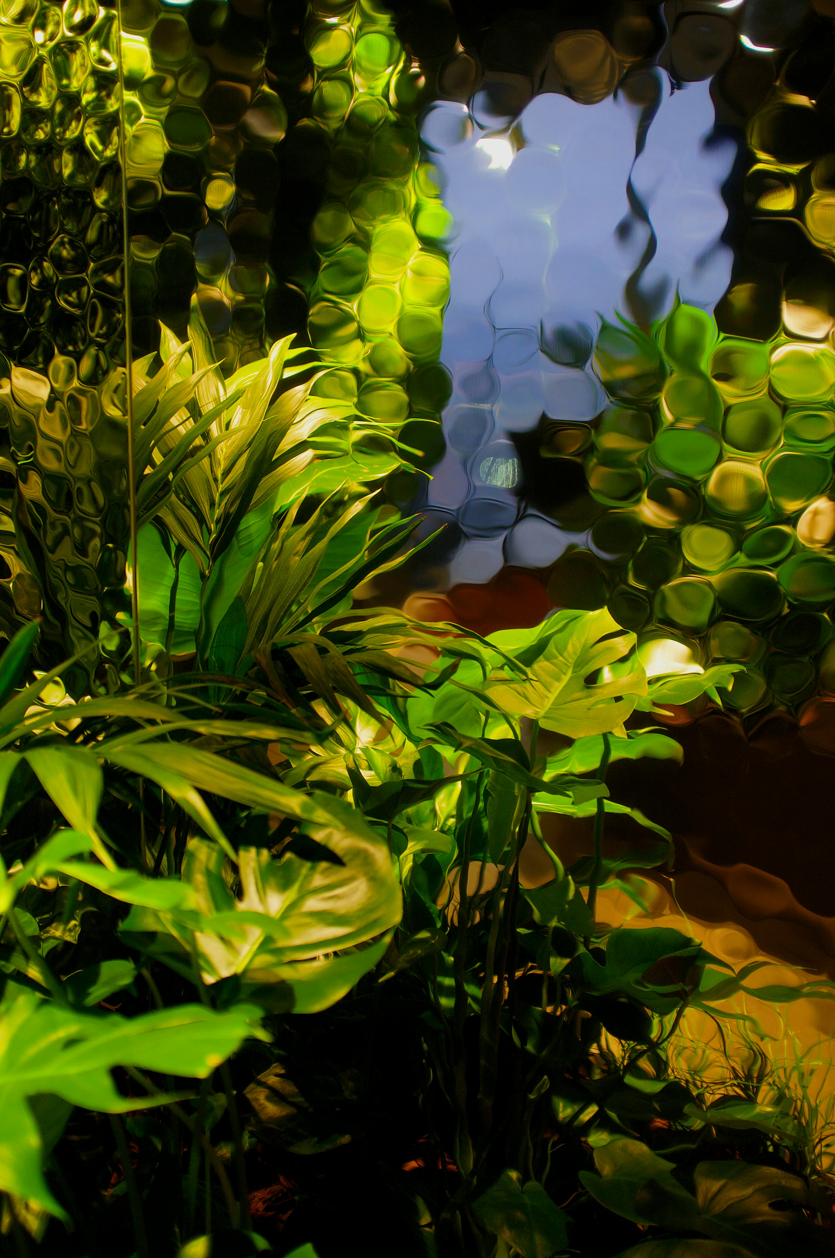 Greenery in Distorted Glass: A Kaleidoscopic Indoor Jungle