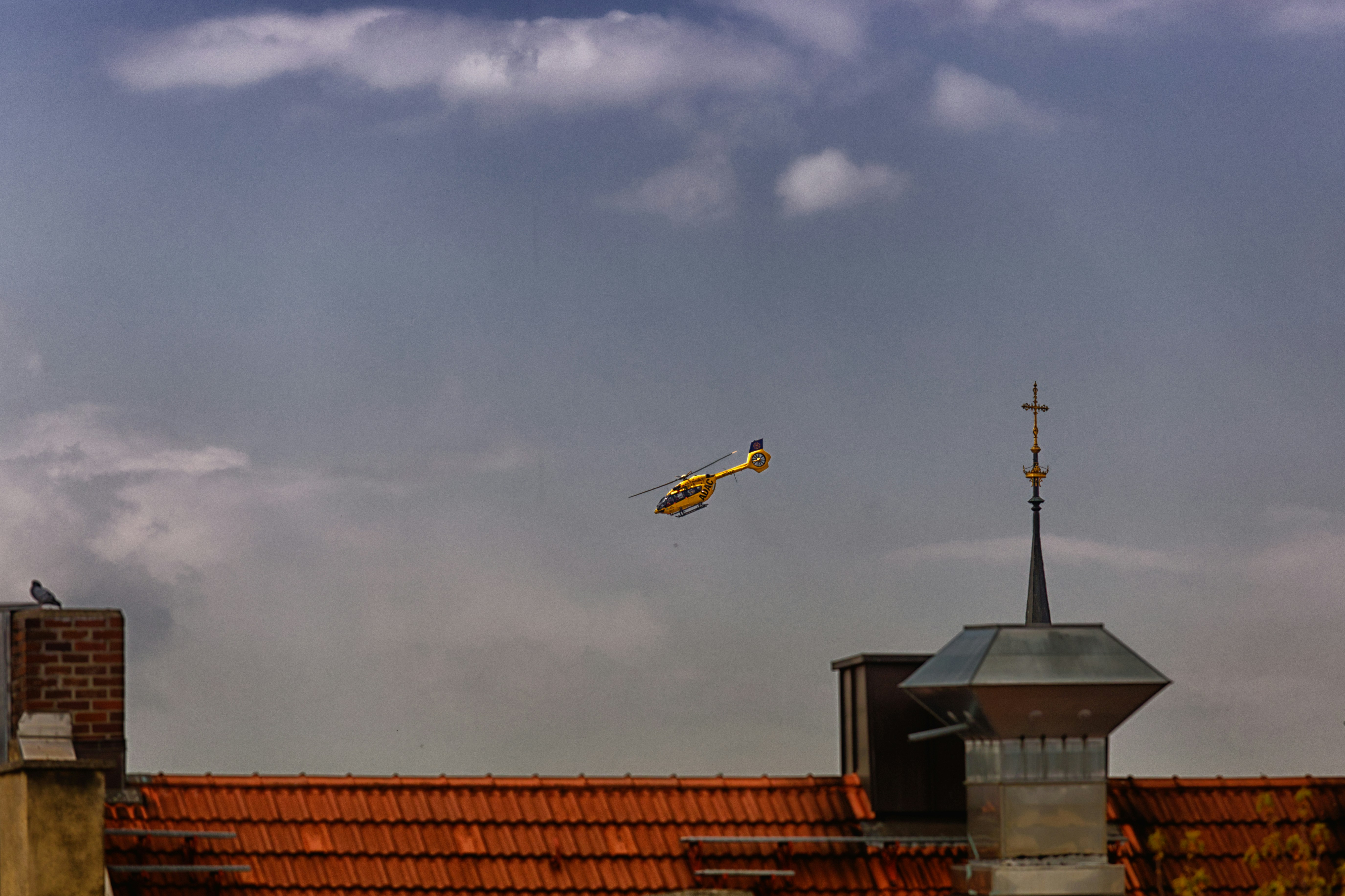 Foto Pájaro blanco y amarillo volando sobre el techo marrón bajo nubes ...