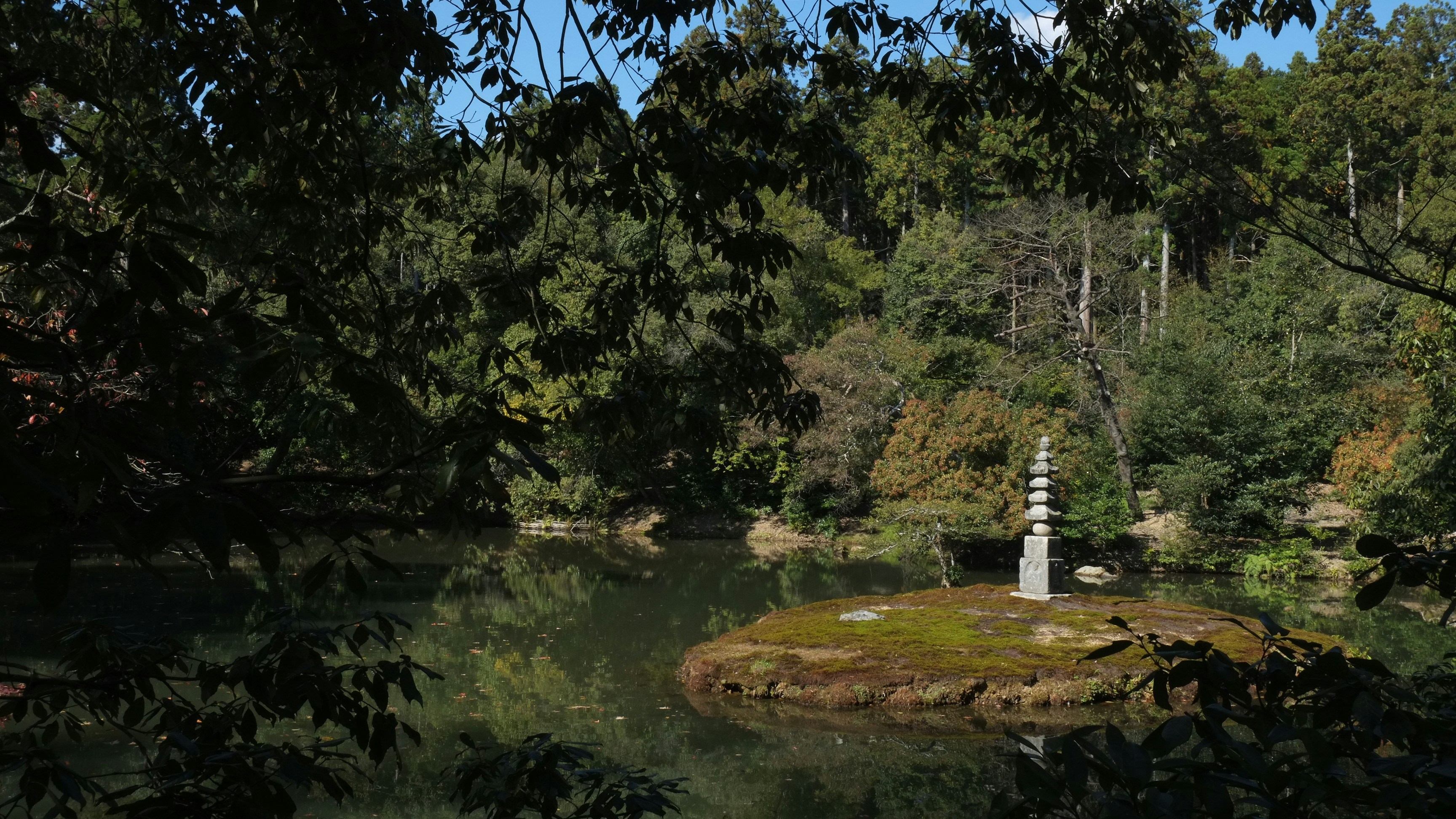 green trees beside river during daytime
